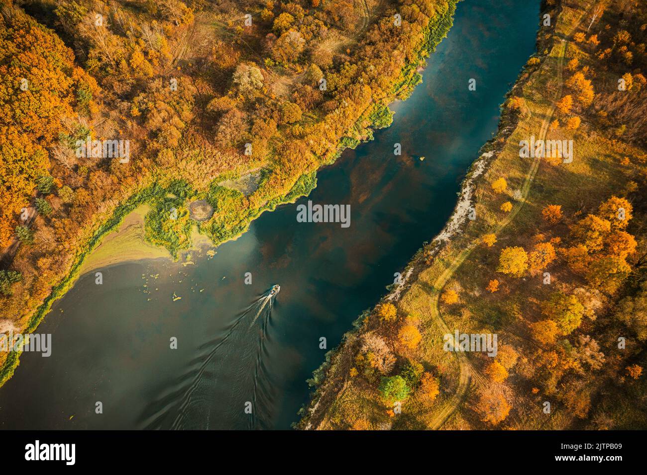 Aerial view of yellow forest woods and river marsh bog in autumn ...