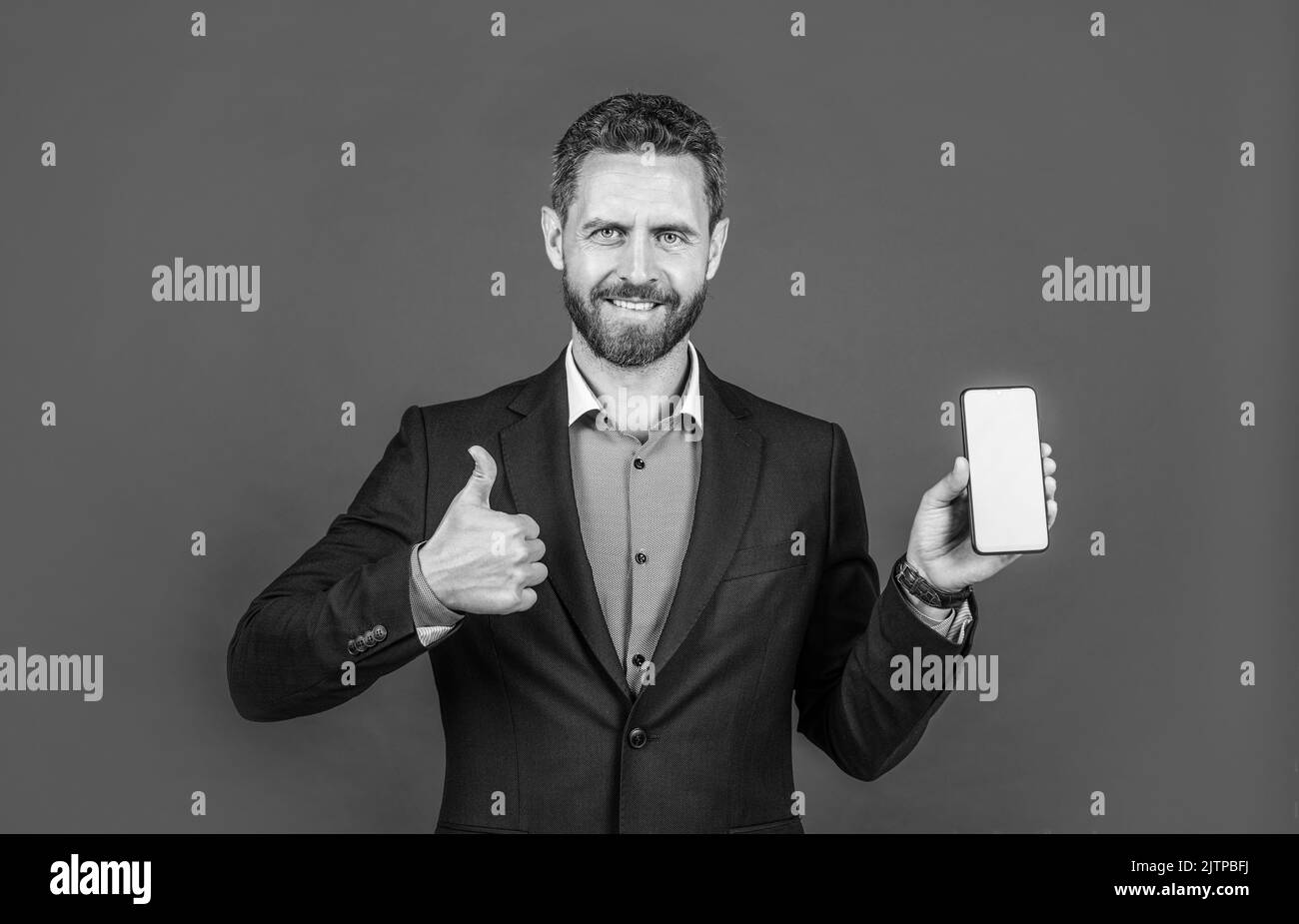 business communication. successful male ceo. confidence and success ...