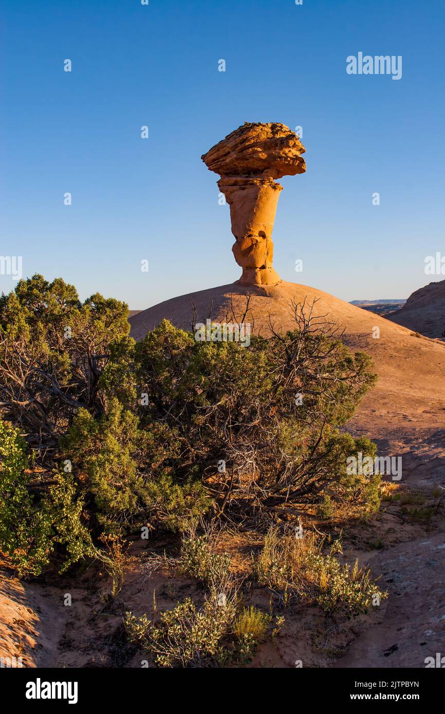 The Secret Spire is a sandstone hoodoo sitting on a dome of Navajo ...