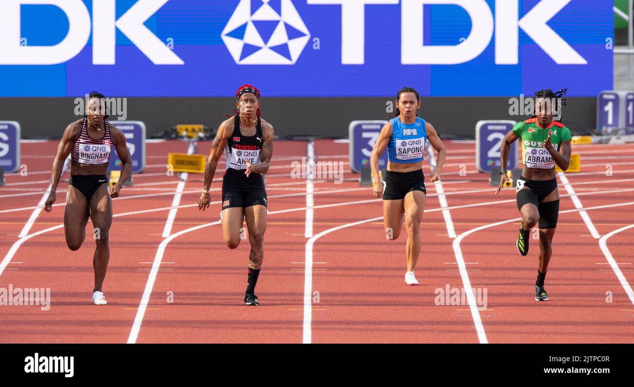 Hobbs lane hi-res stock photography and images - Alamy