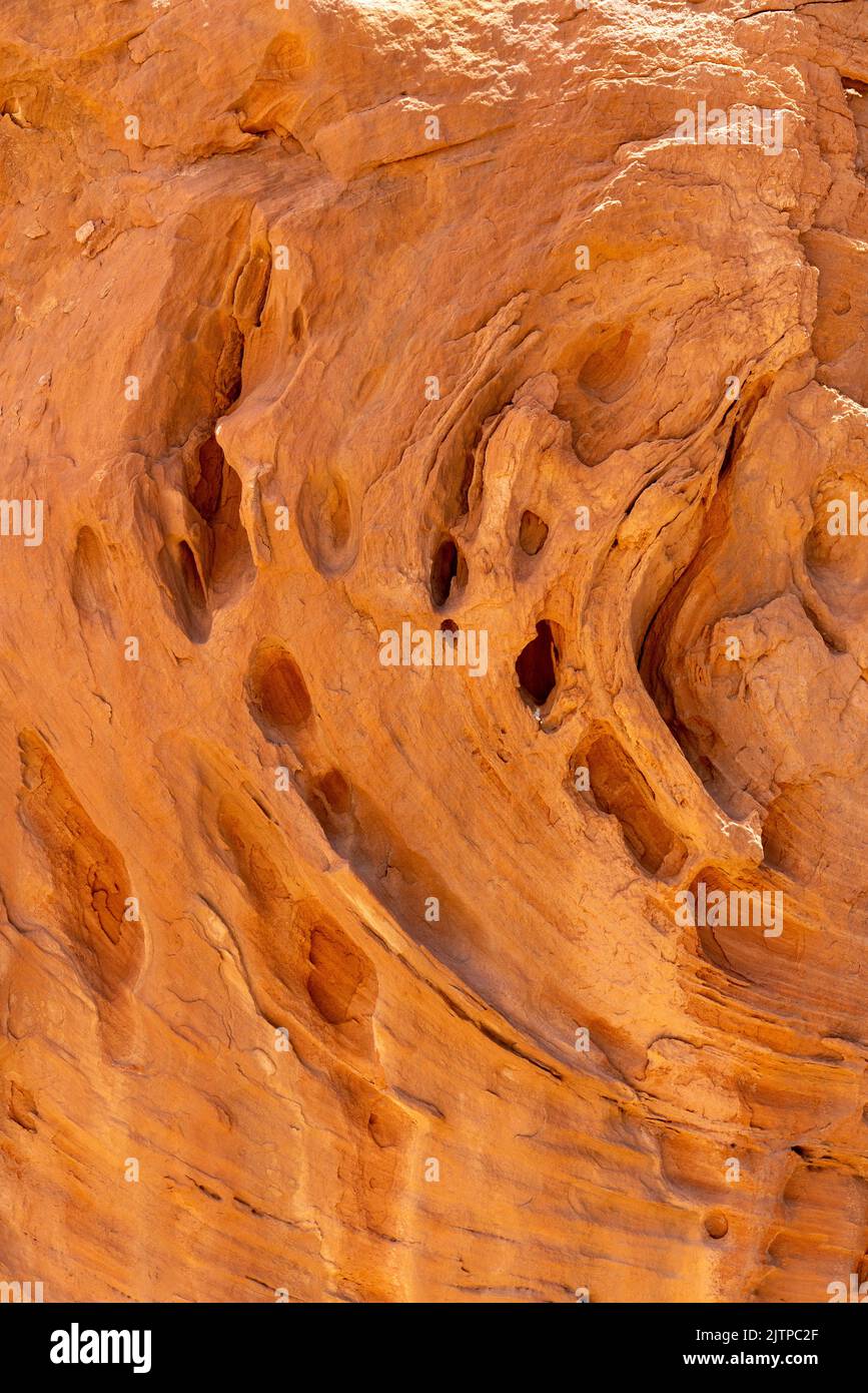Tafoni or rock lace erosion patterns in sandstone by Spring Canyon near ...