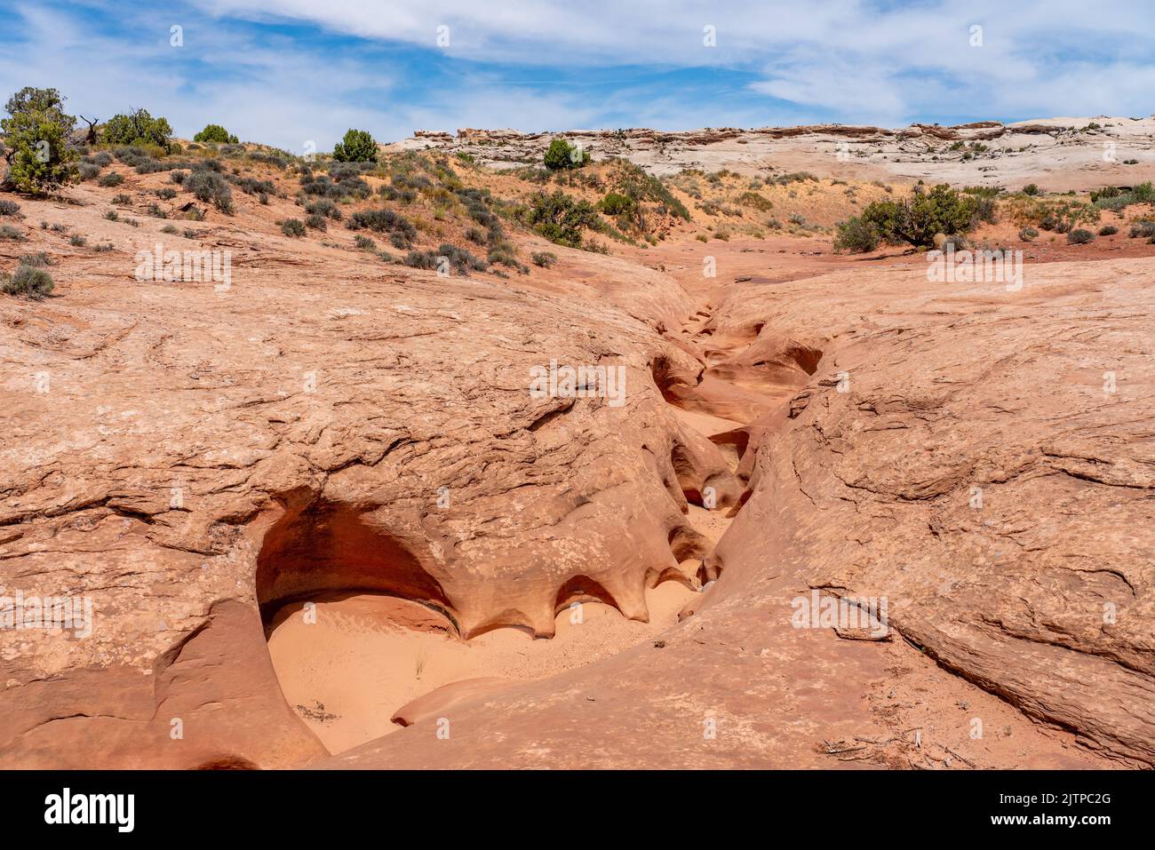 An erosion channel cut by thousands of years of flash-flood waters ...