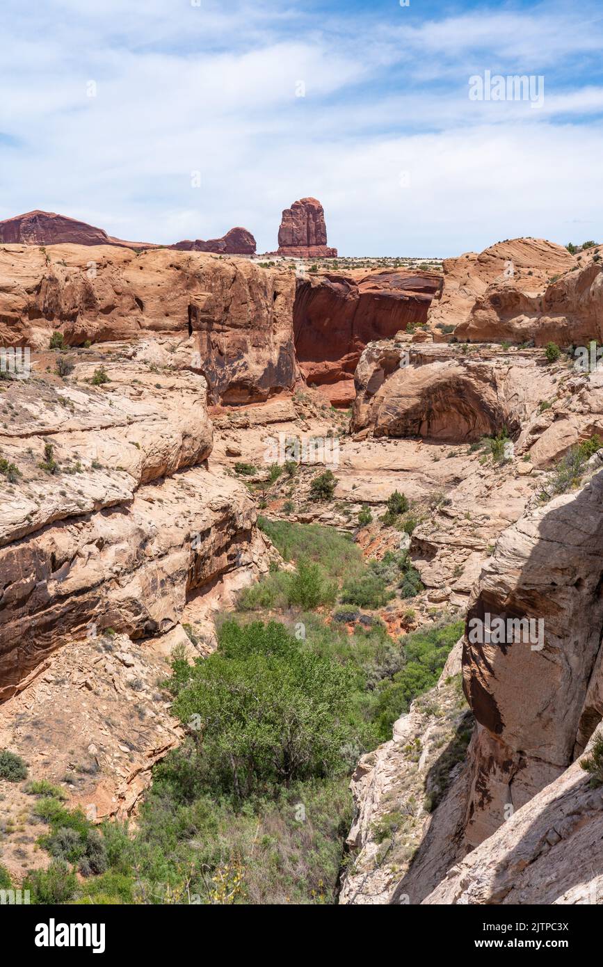 Spring Canyon in the desert north of Moab, Utah, with the Tombstone or ...
