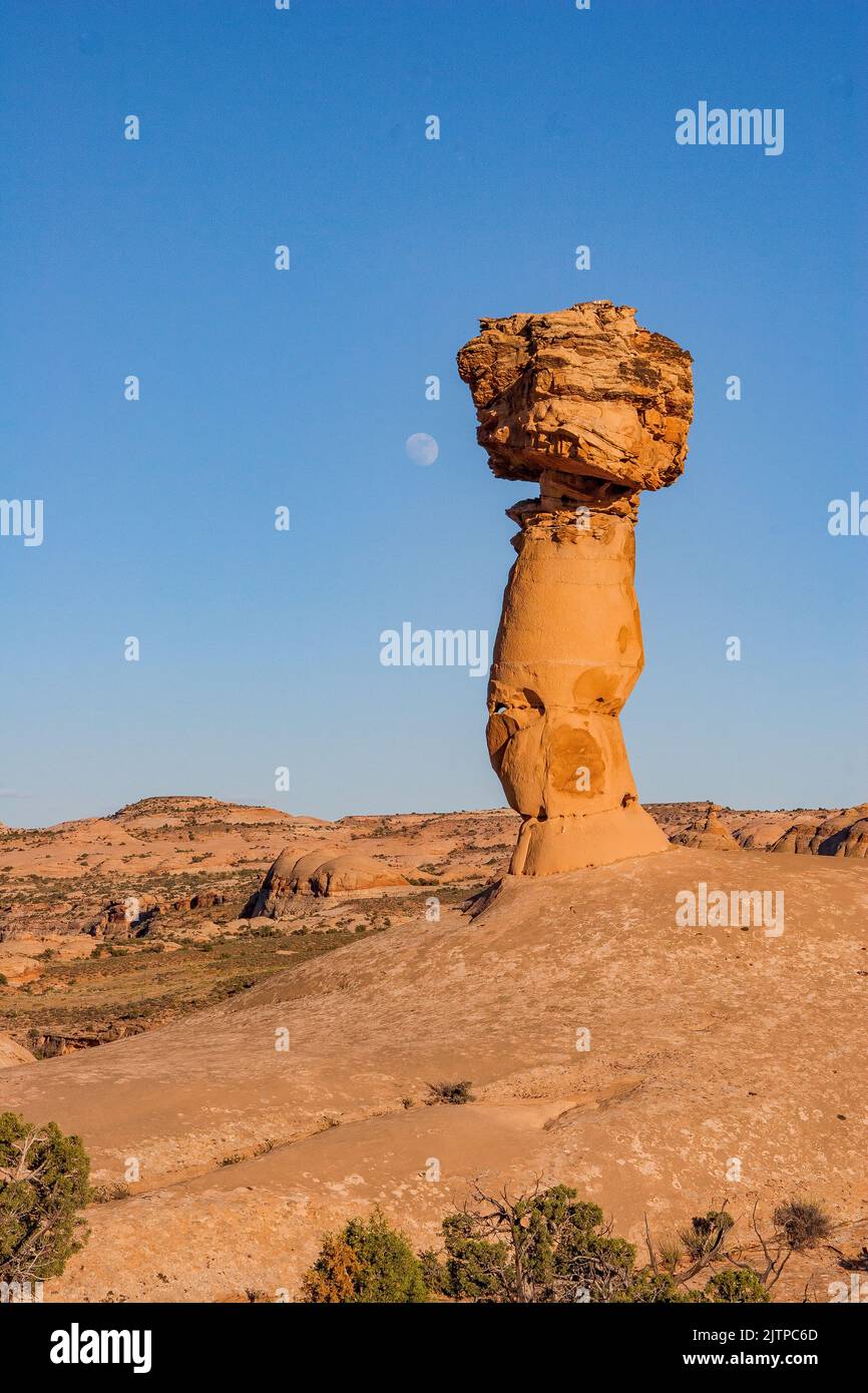 The Secret Spire is a sandstone hoodoo sitting on a dome of Navajo ...
