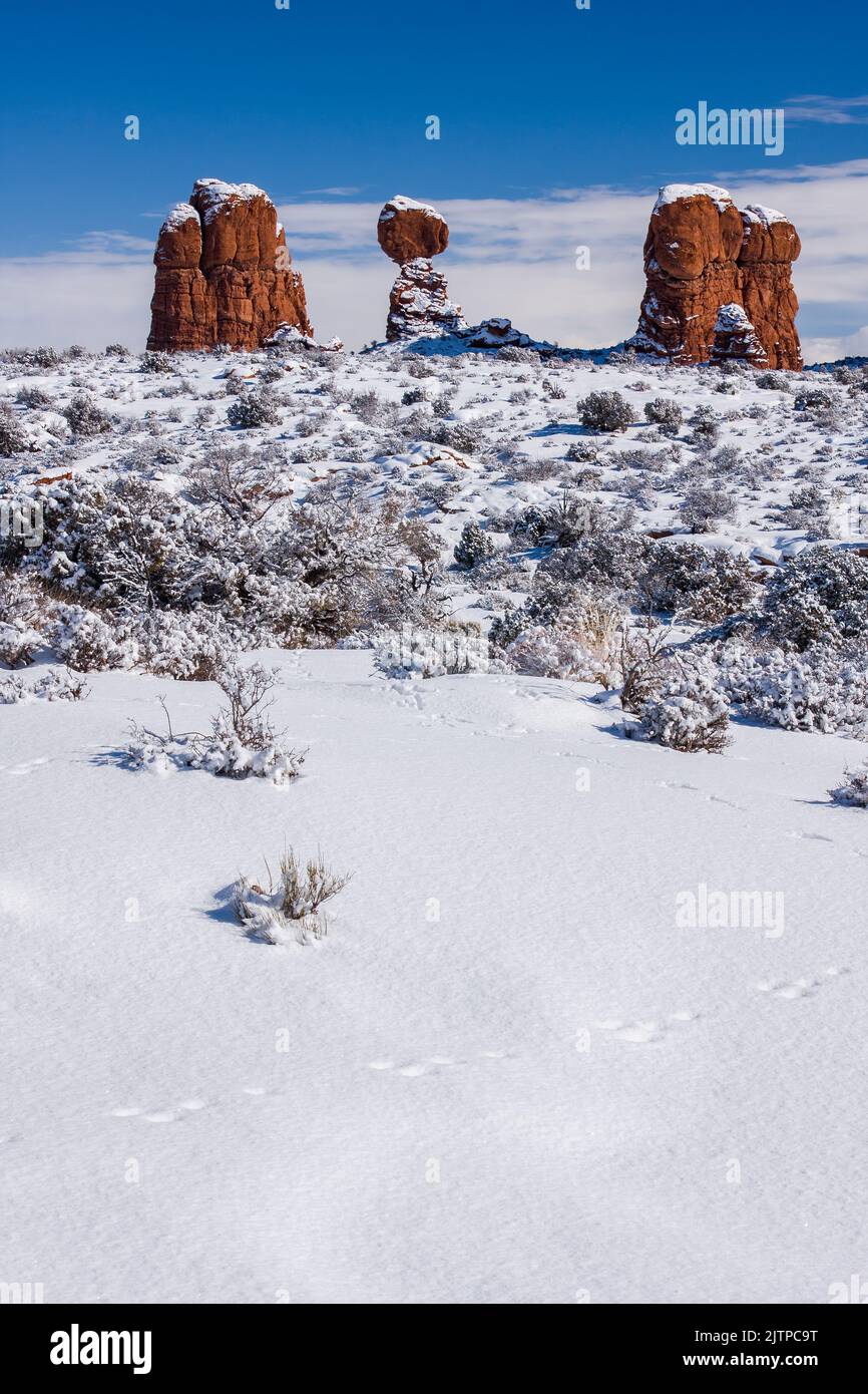 Rabbit tracks in the snow in front of Balanced Rock after a winter ...