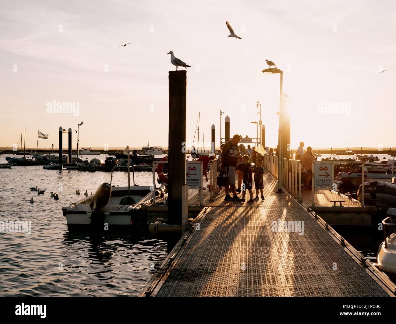 Summer visitors to the floating pontoon at West Mersea Harbour, Mersea ...