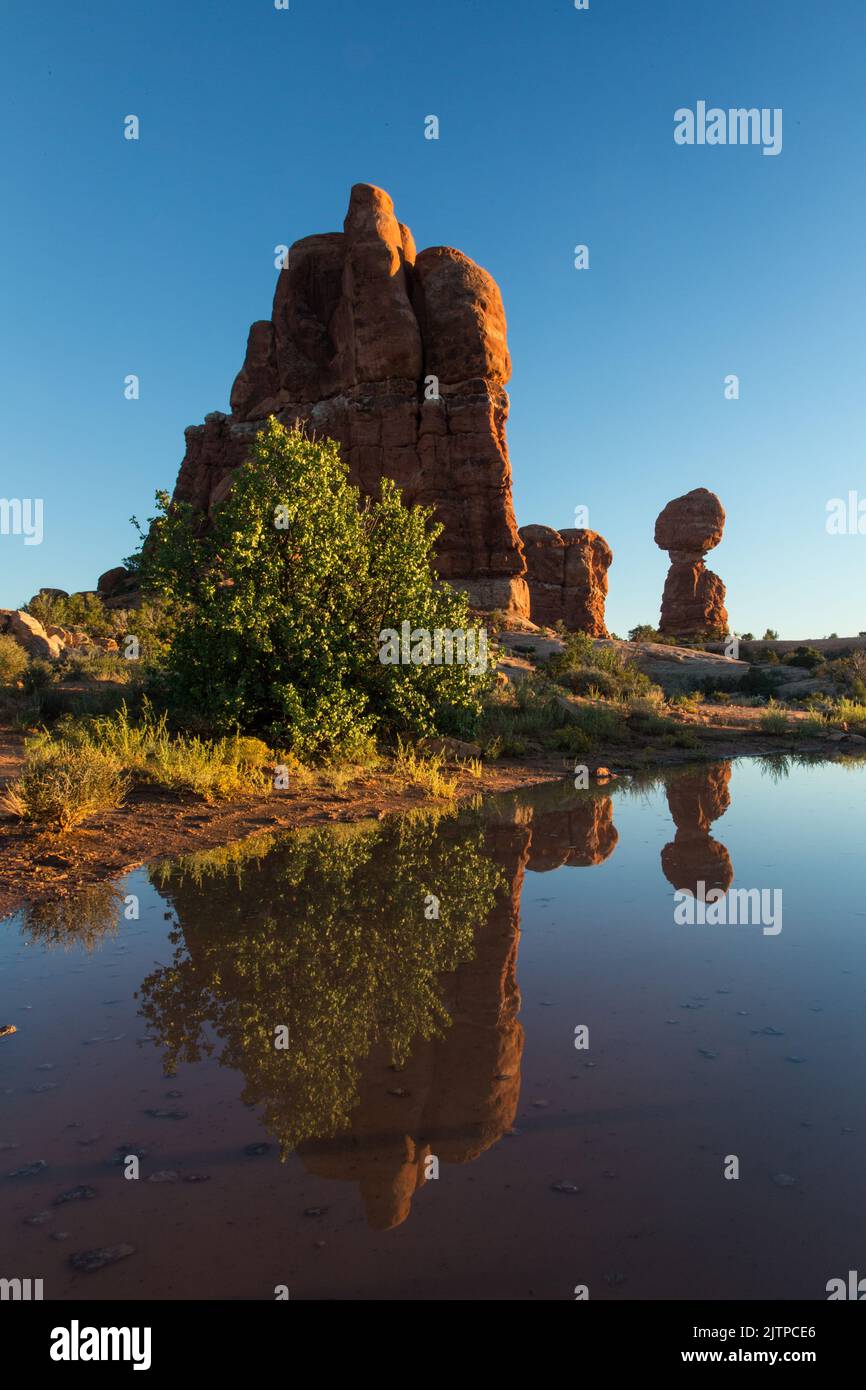 Balanced Rock in reflected in an ephemeral rain pool in Arches National ...