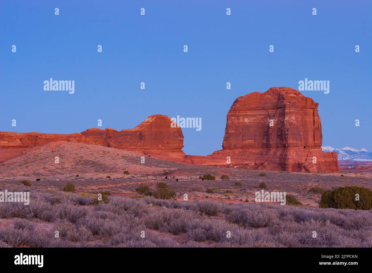 Tombstone Butte or the Needleaand the snow-capped La Sal Mountains in ...