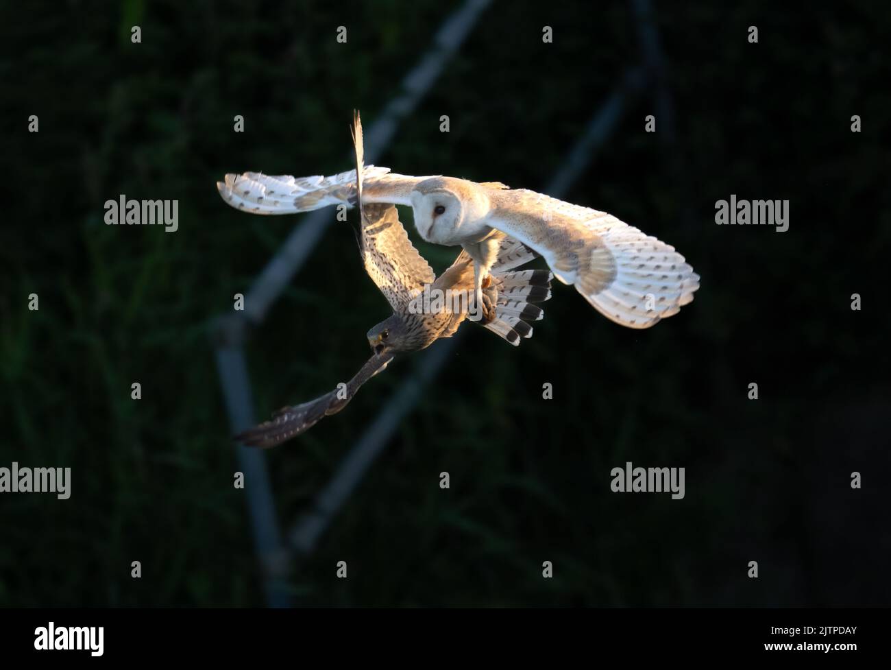 Jack Branscombe is the photographer behind these stunning images. WEST ...