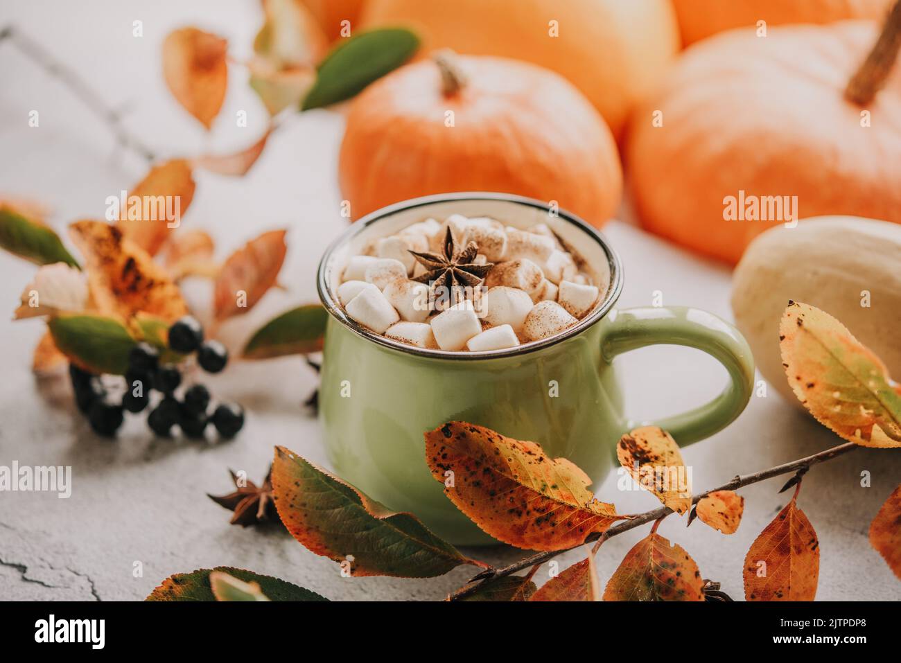 Cozy autumn hot drink with marshmallow, rowan berries, pumpkin and ...