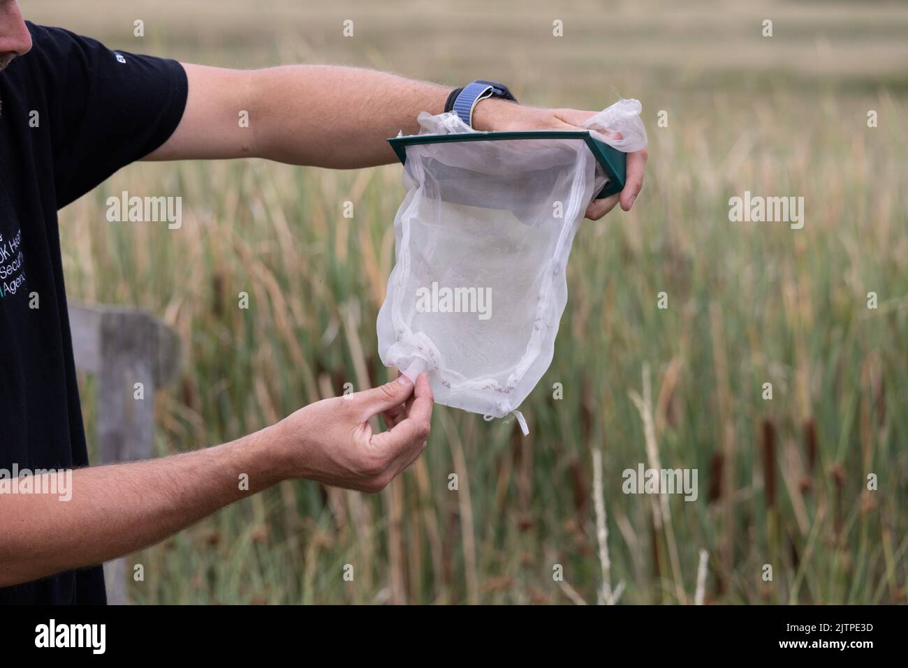 United Kingdom Health Security Agency (UKHSA) scientists hunt for new ...