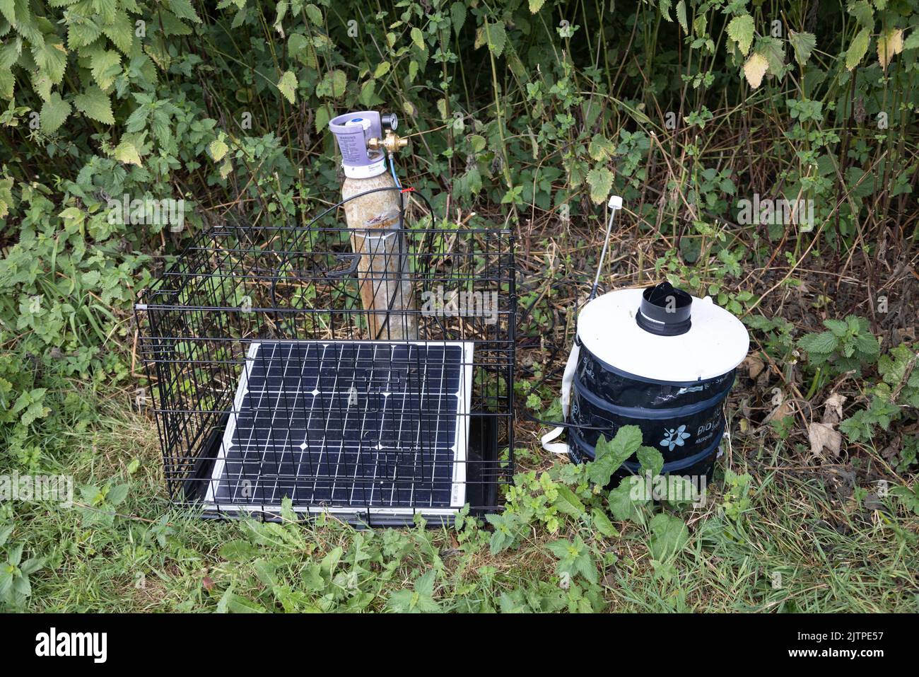 United Kingdom Health Security Agency (UKHSA) scientists hunt for new ...