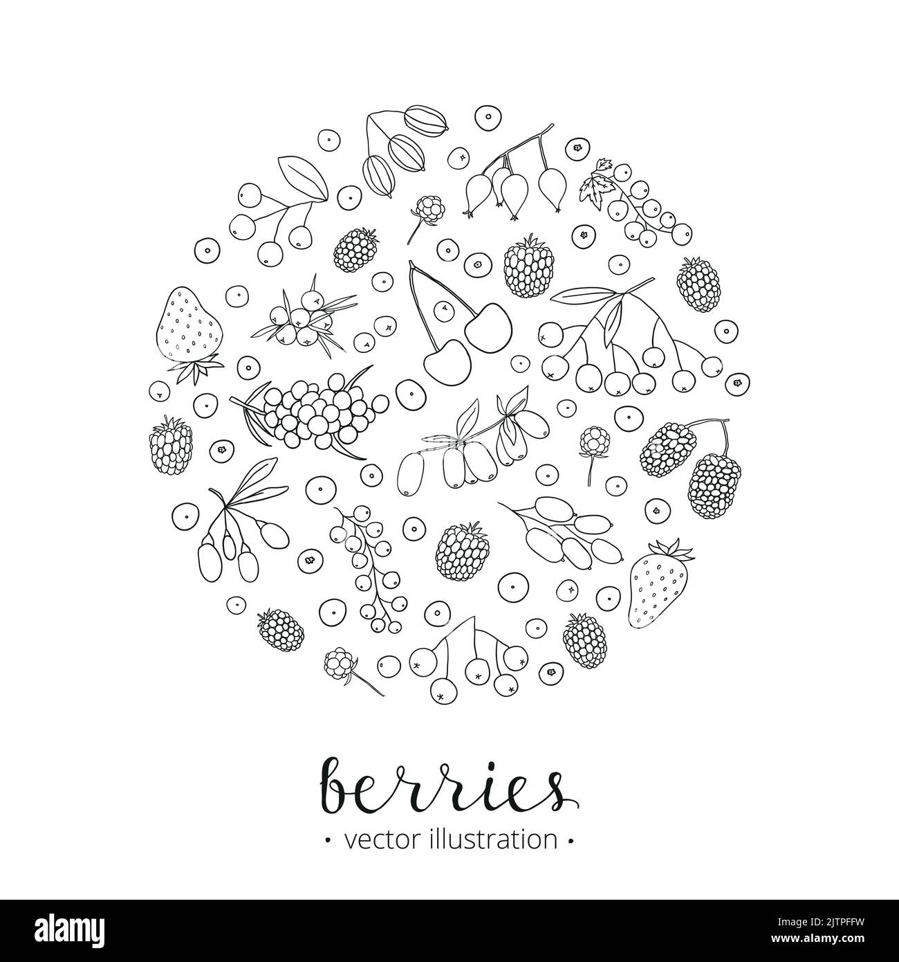 Hand drawn outline berries in circle shape Stock Vector Image & Art - Alamy
