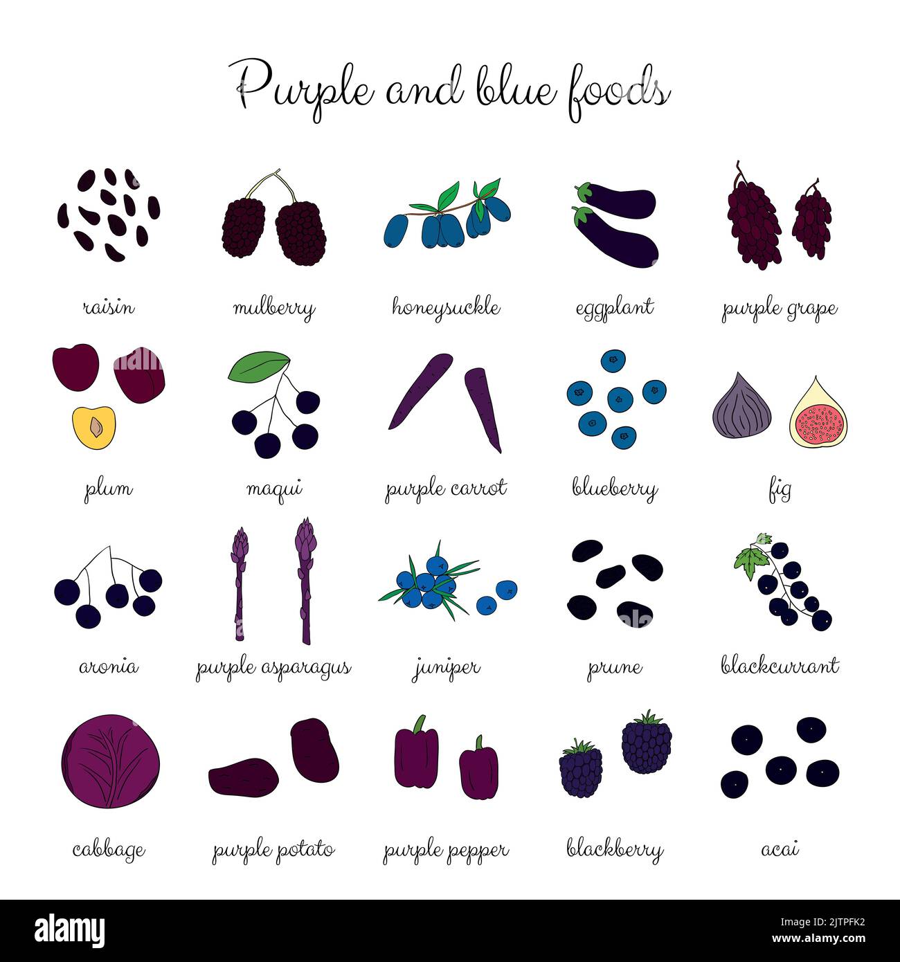 Hand drawn purple, blue fruits, berries and vegetables isolated on ...