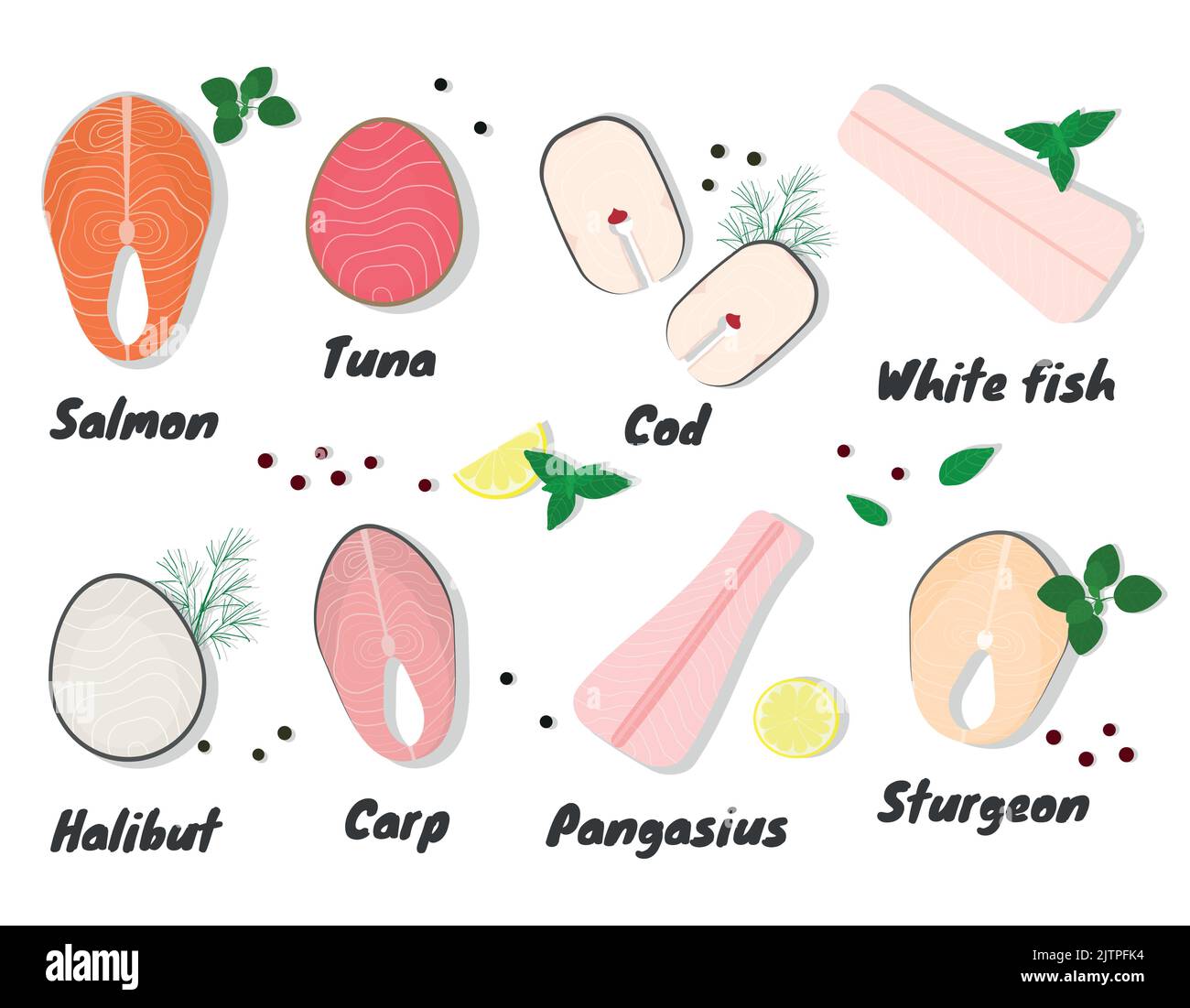 Raw fish salmon steaks Stock Vector Images - Alamy