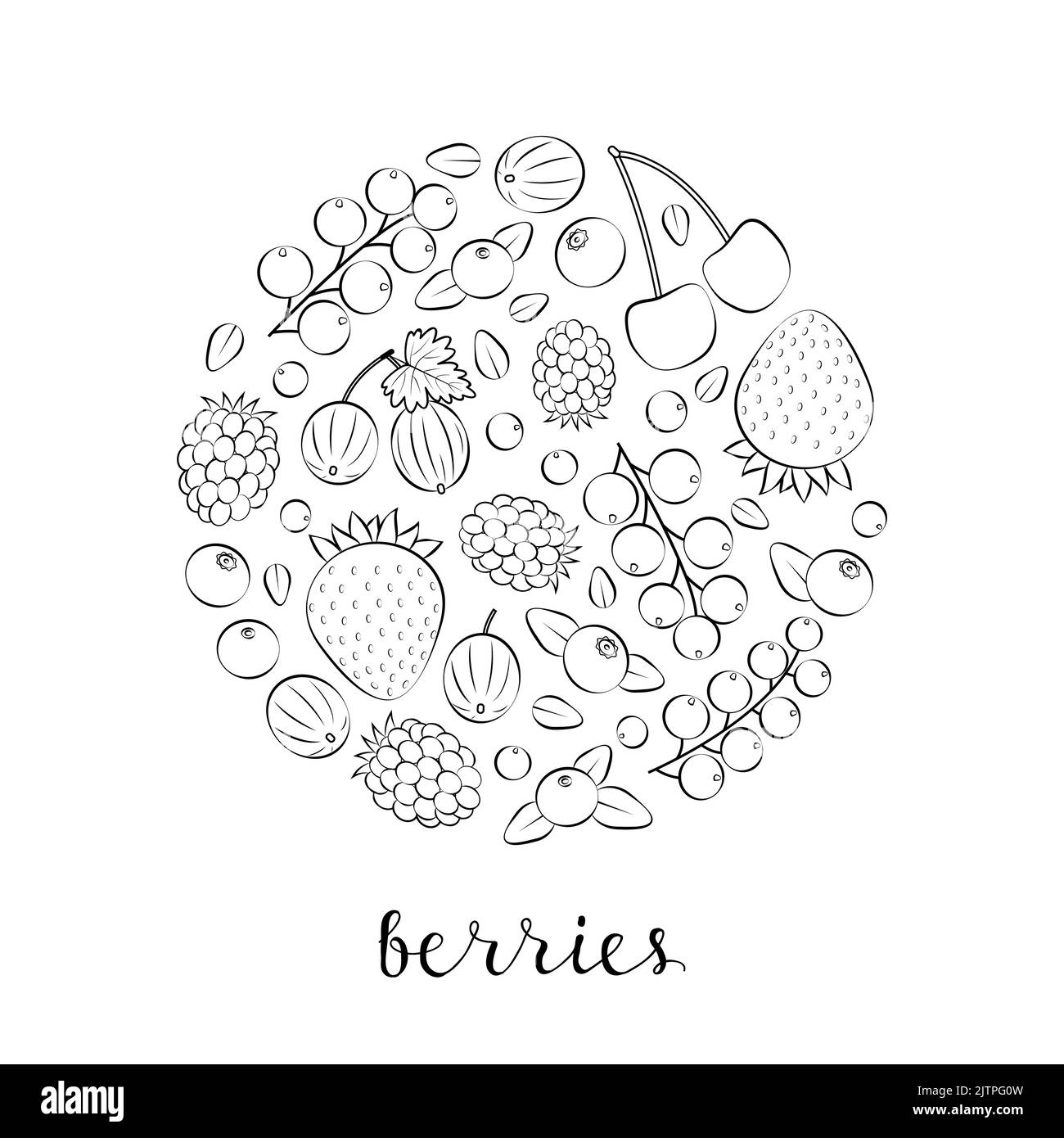 Outline summer berries in circle shape with lettering Stock Vector ...