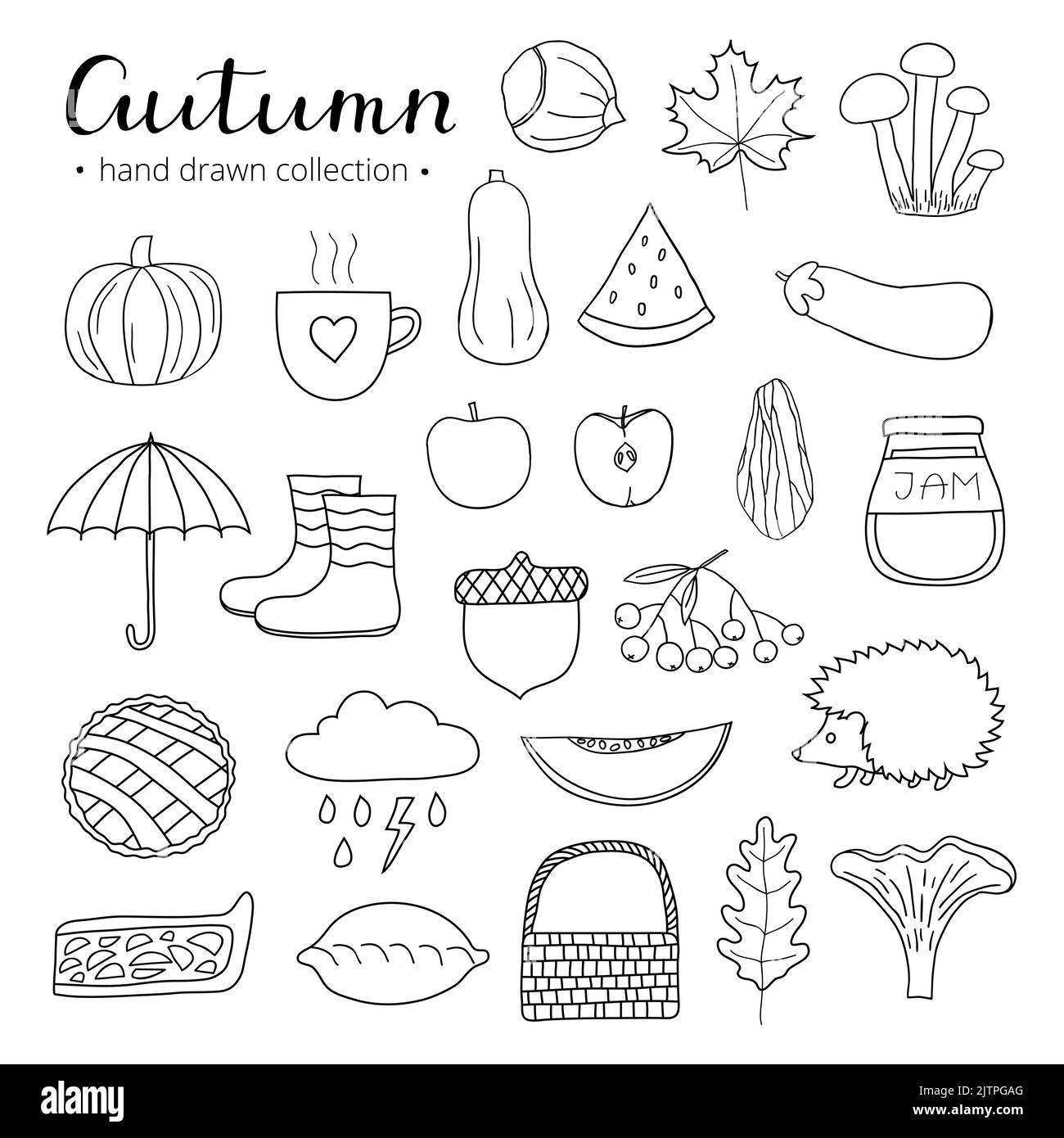Hand drawn outline autumn items isolated on white background Stock ...