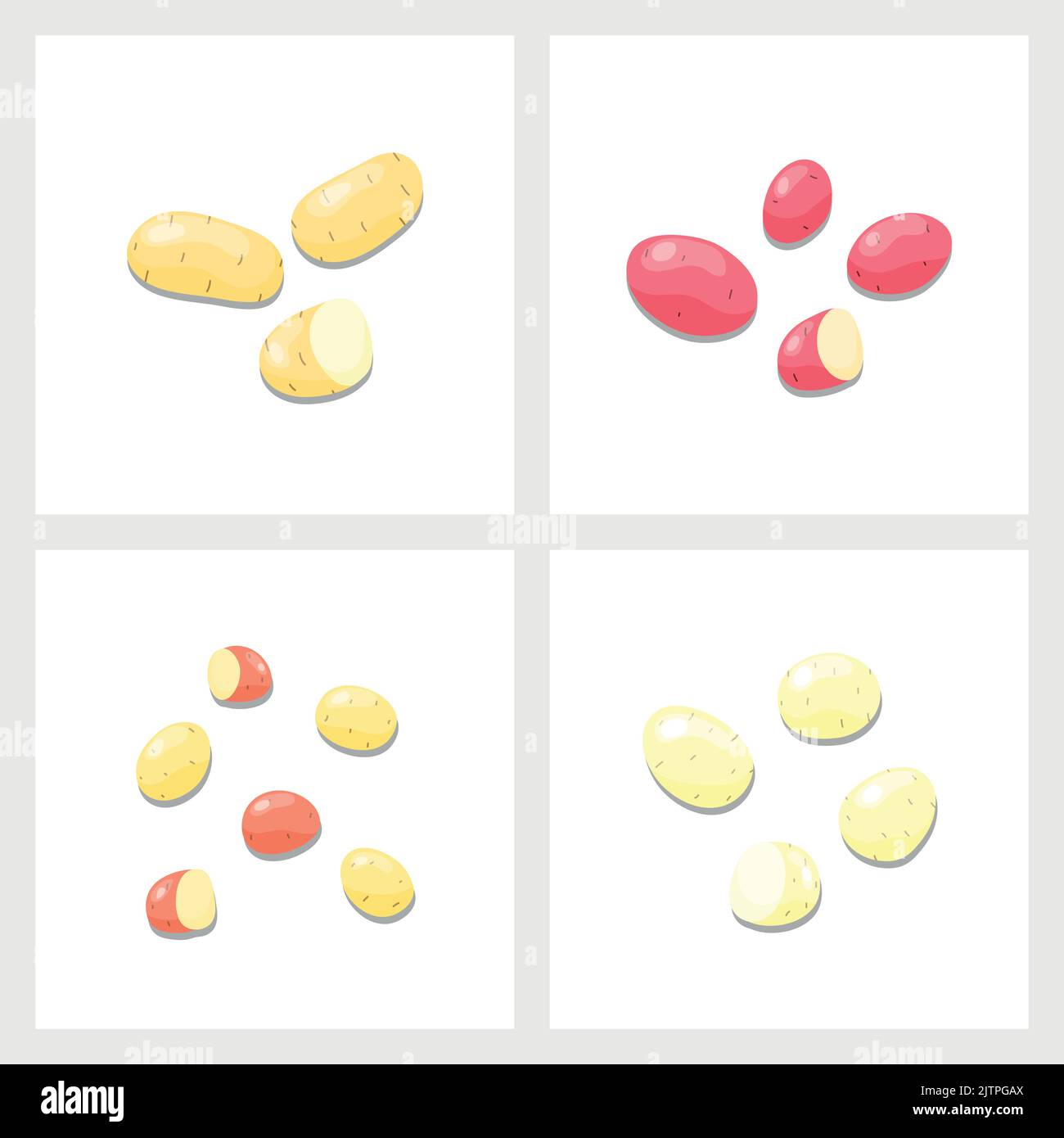 Groups of different potato varieties in cartoon style Stock Vector ...