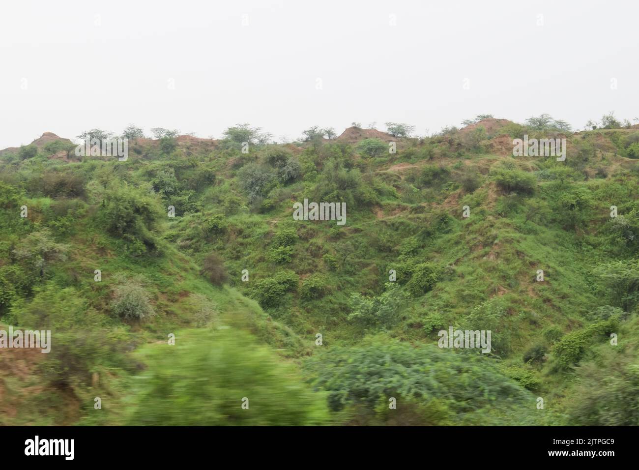 Chambal valley in Madhya pradesh In India, which is infamous for ...