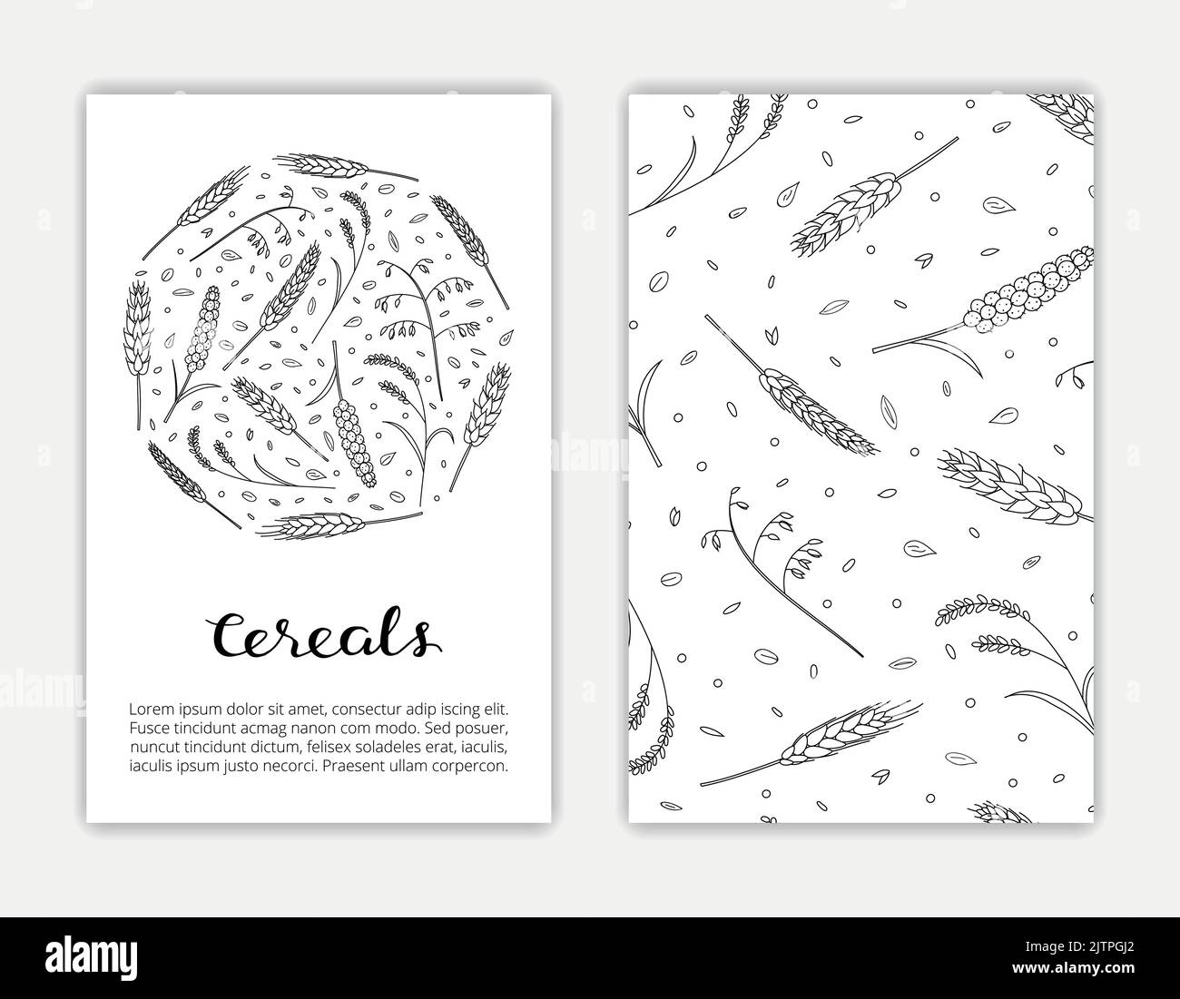 Editable card templates with hand drawn cereals, grains and text. used ...