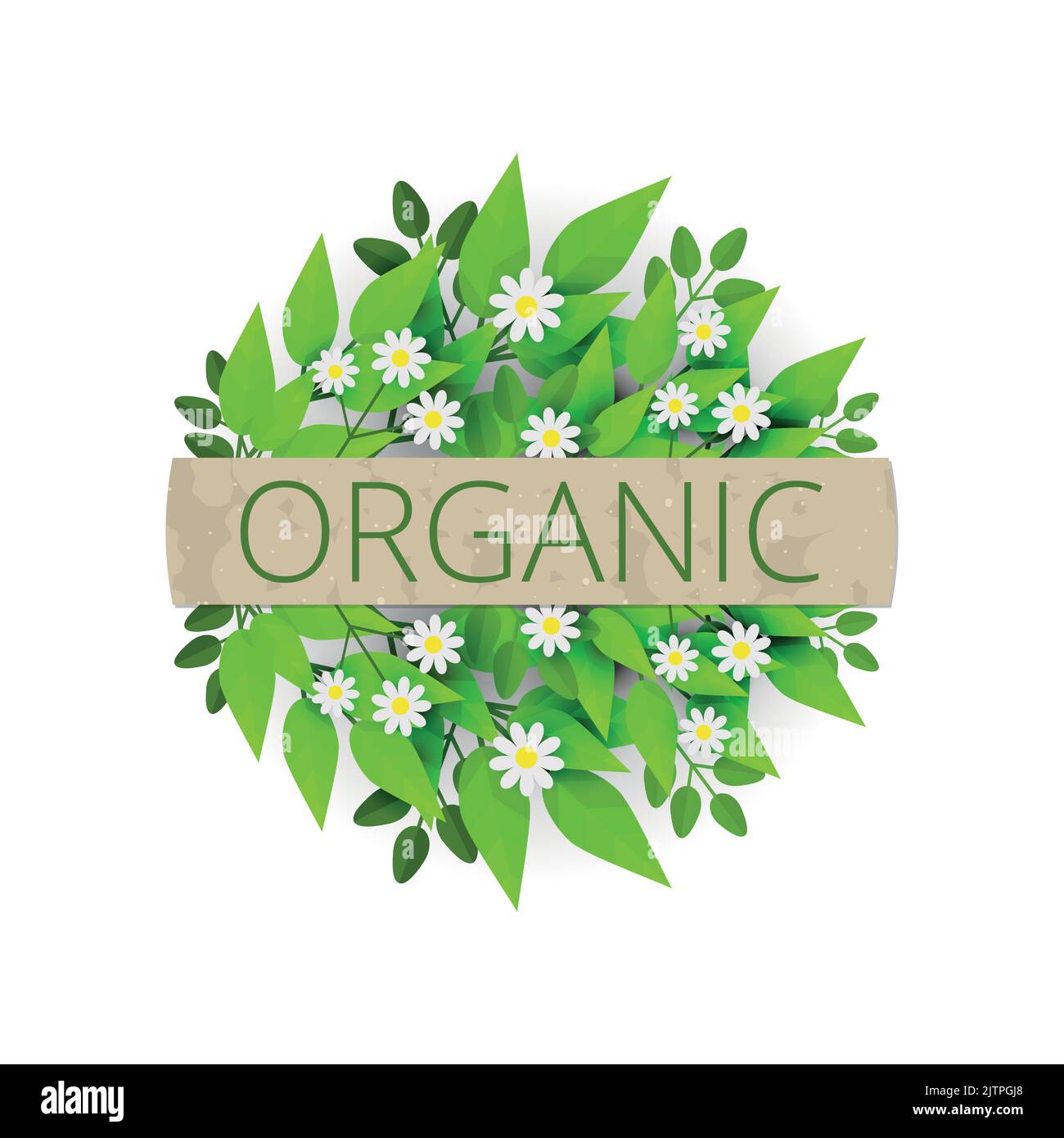 Circle floral banner with fresh leaves and chamomile flowers. Organic ...