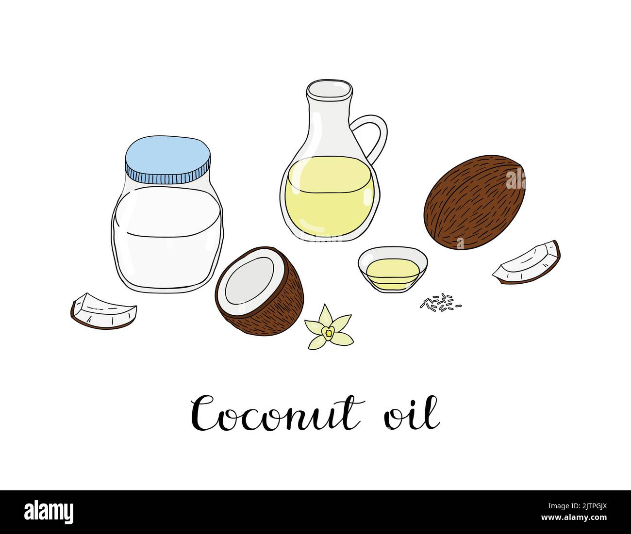 Hand drawn coconut oil in glass bottles and raw cocos isolated on white ...