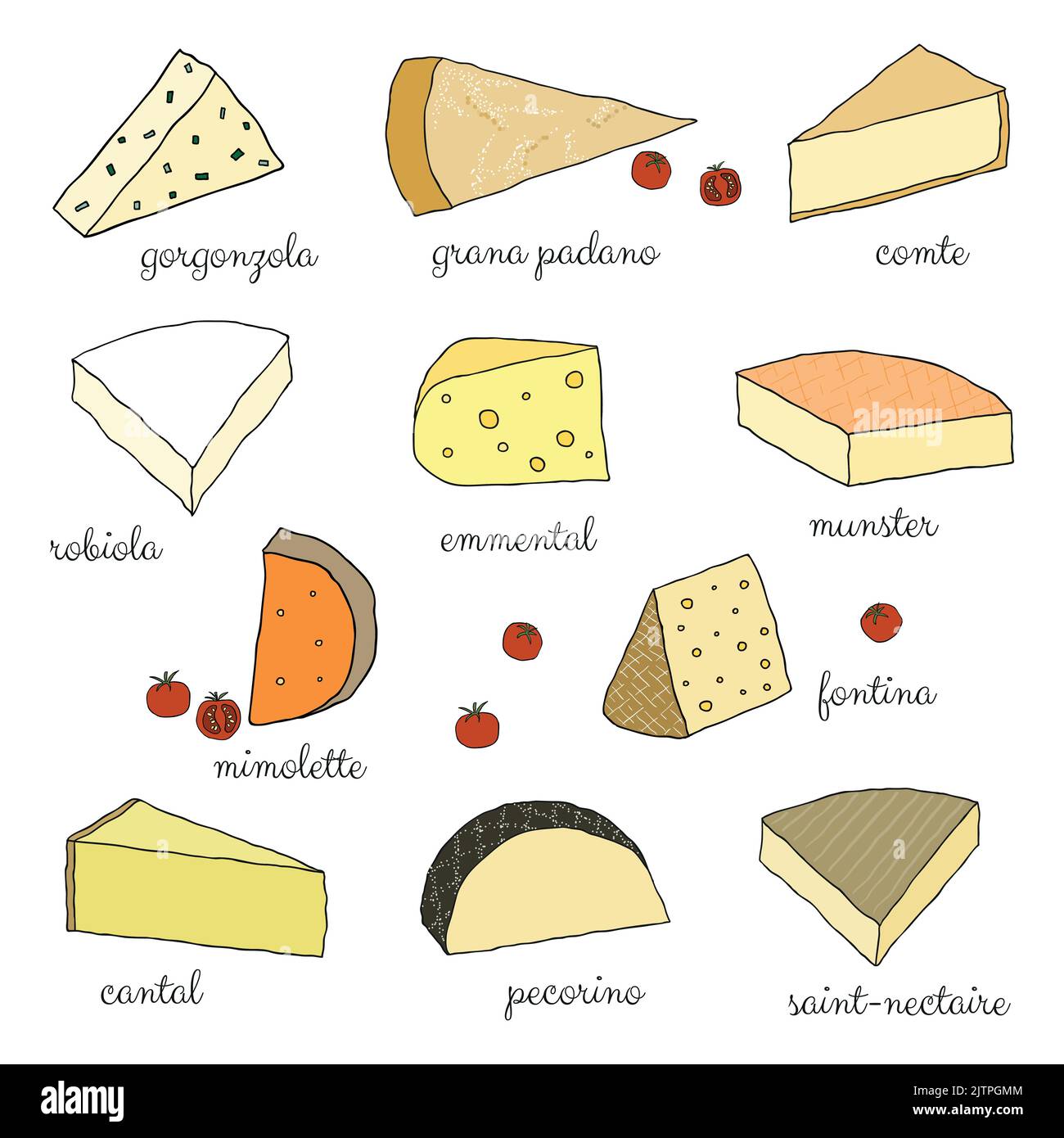 Hand drawn cheese isolated on white background Stock Vector Image & Art ...