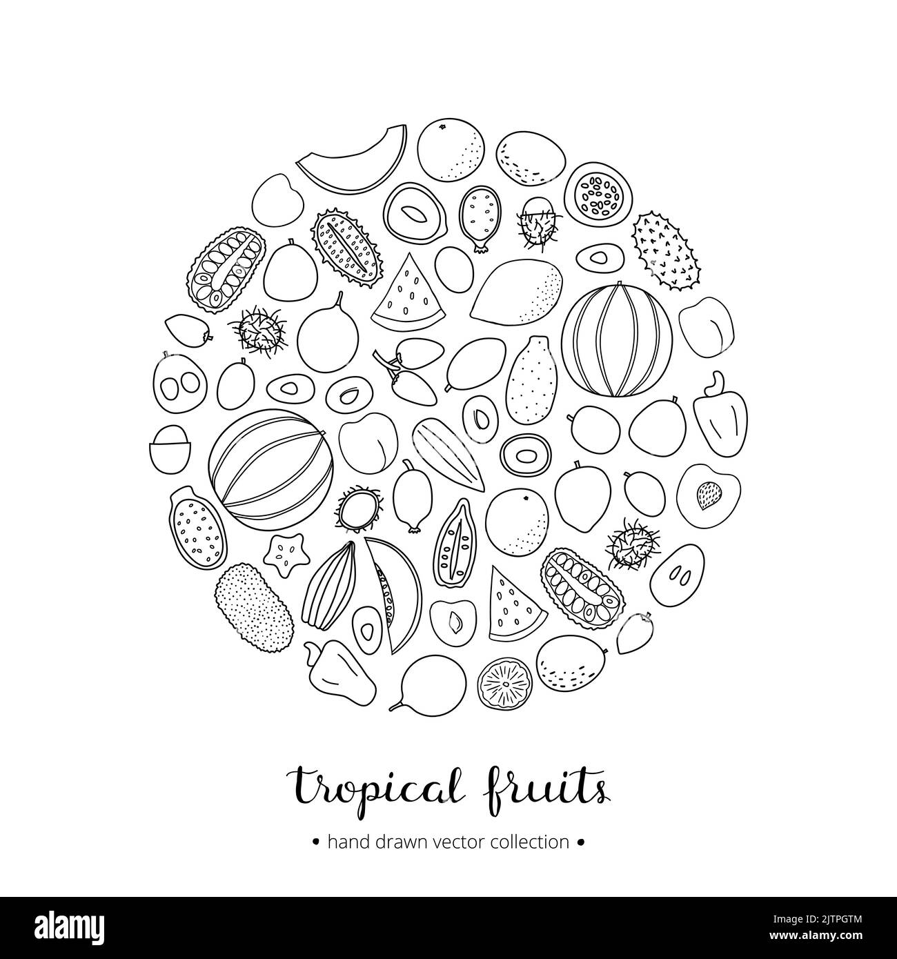 Hand drawn outline tropical fruits in circle shape with lettering Stock ...