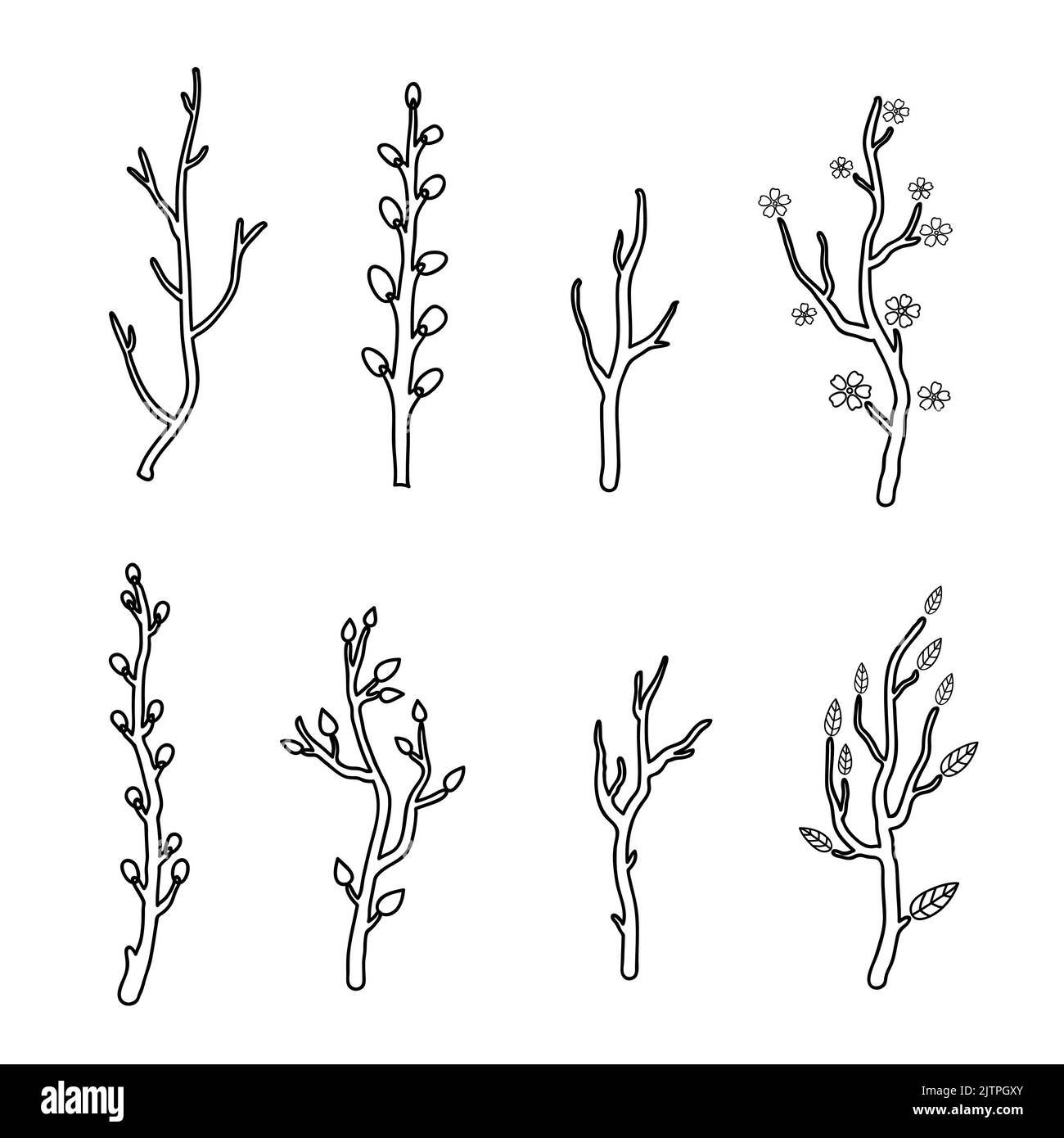 Collection Of Hand Drawn Outline Tree Twigs And Branches Isolated On