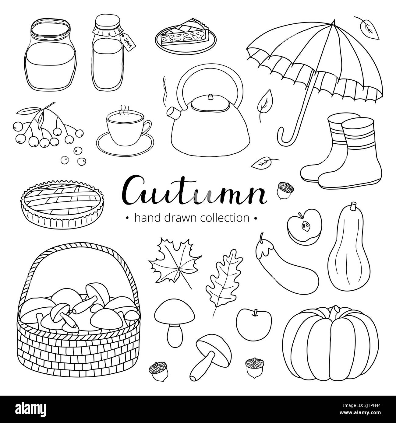 Collection of hand drawn outline autumn items isolated on white ...