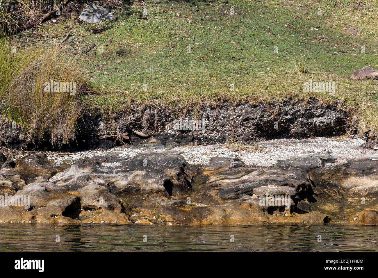 Australian Aboriginal Shell midden next to sea shore Stock Photo - Alamy