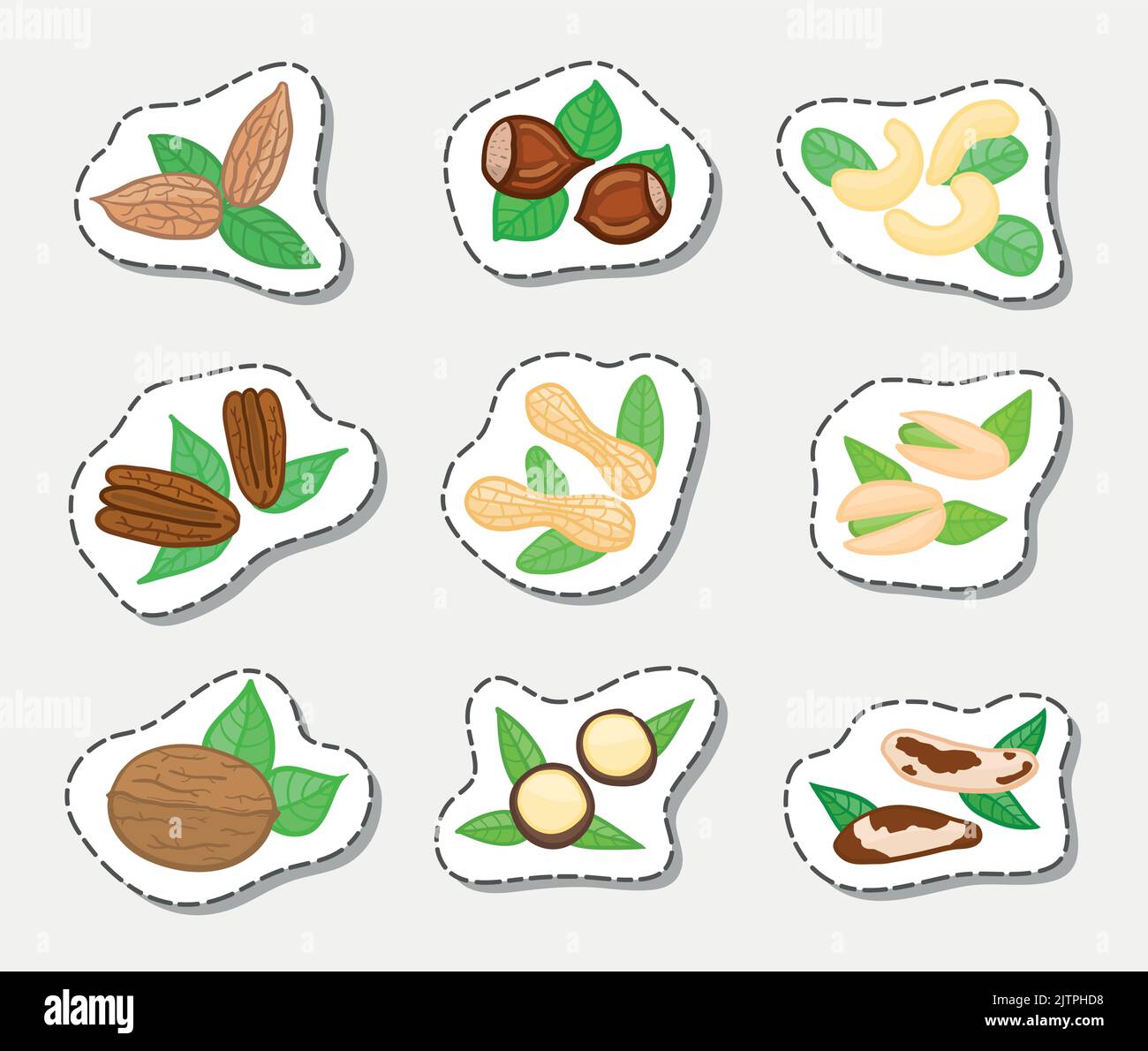 Stickers with doodle nuts isolated on white background. Almond ...