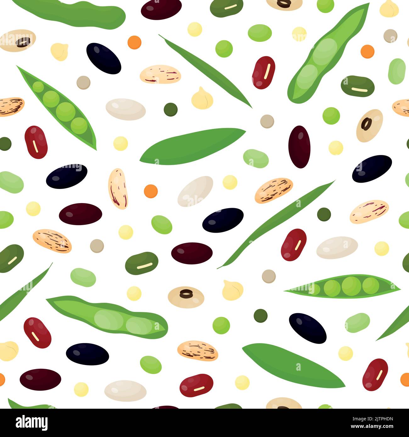 Dried lima beans Stock Vector Images - Alamy