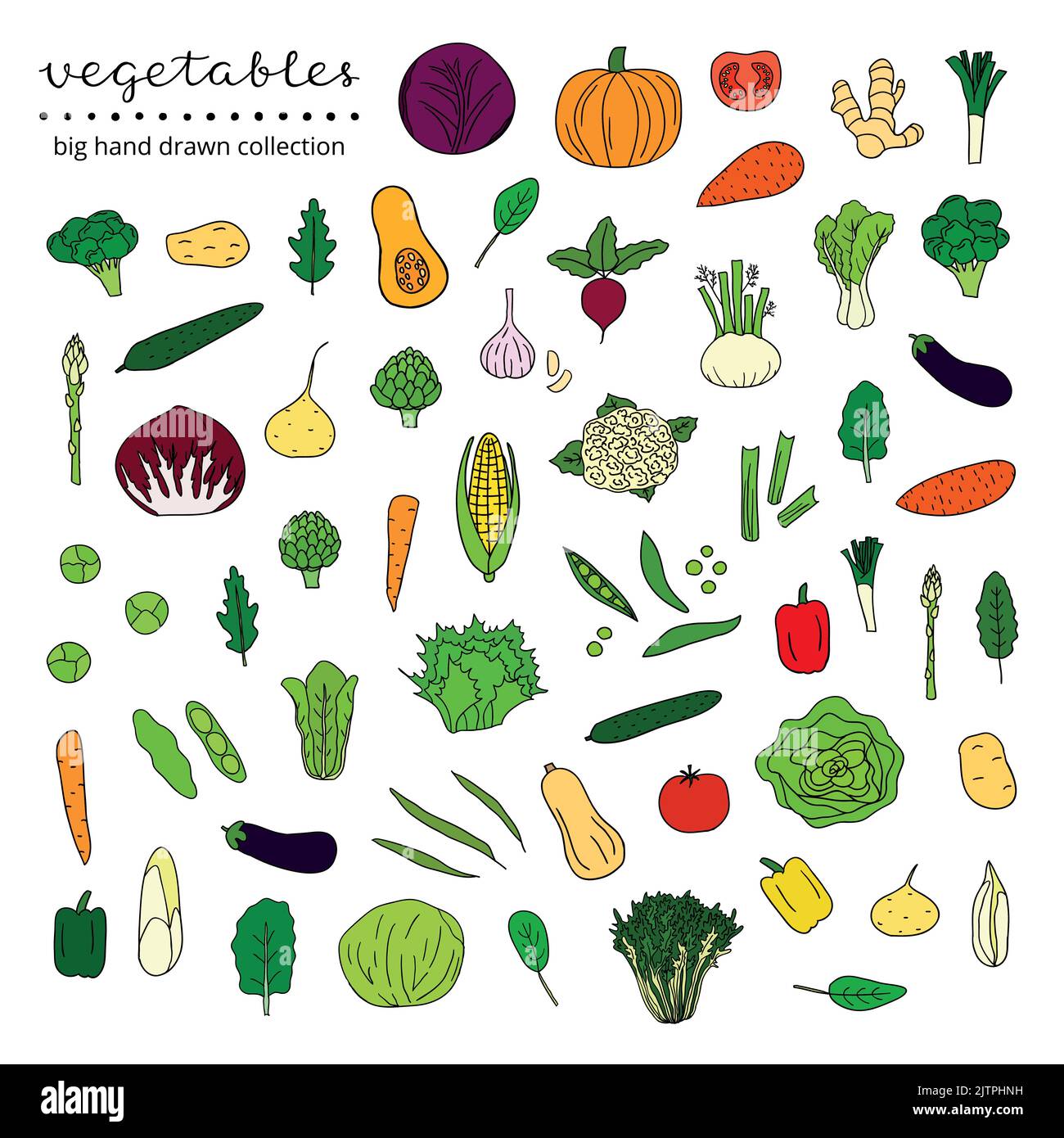 Big collection of hand drawn vegetables and leafy greens isolated on ...