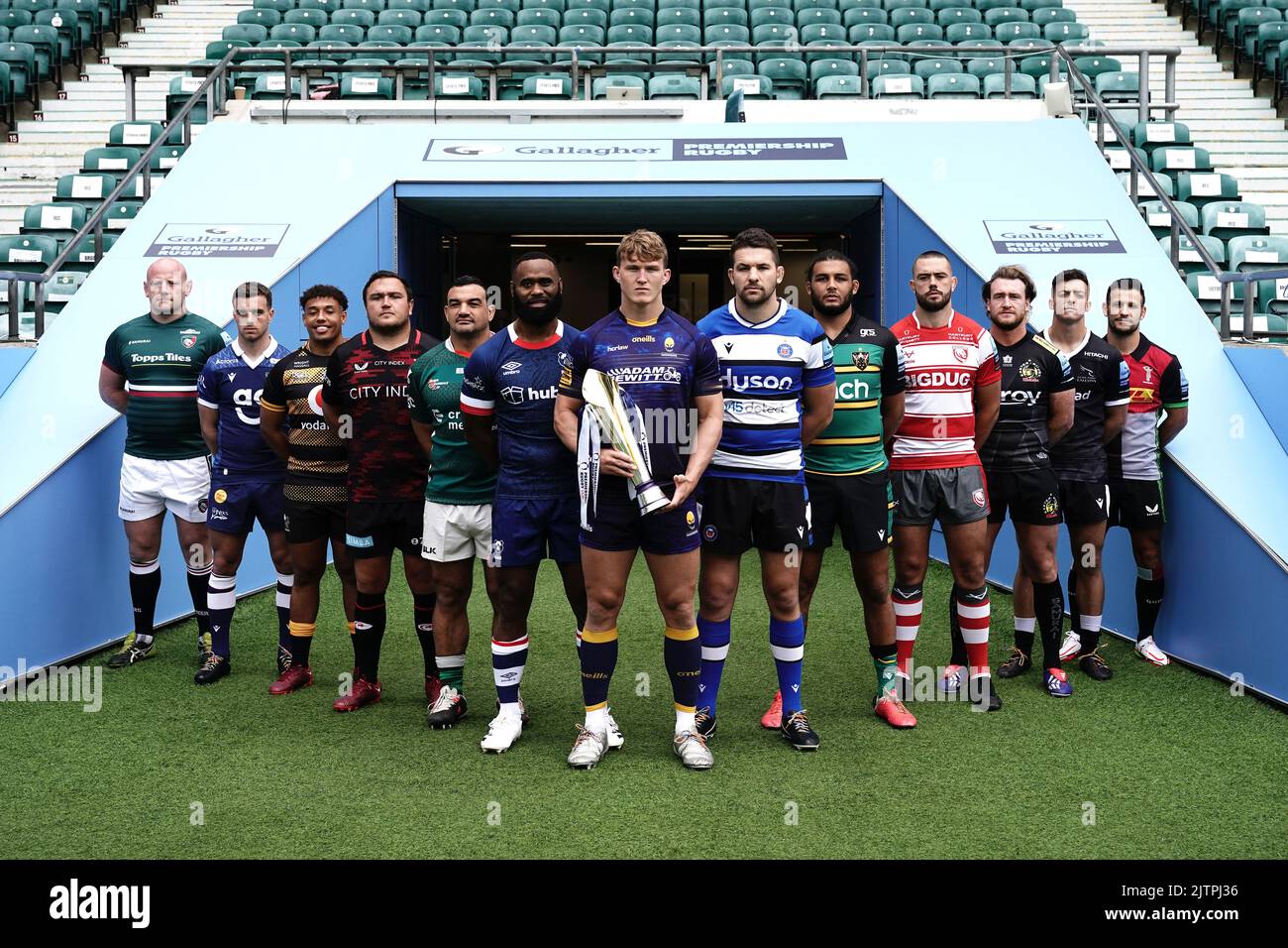 Wasps semi radradra hi-res stock photography and images - Alamy