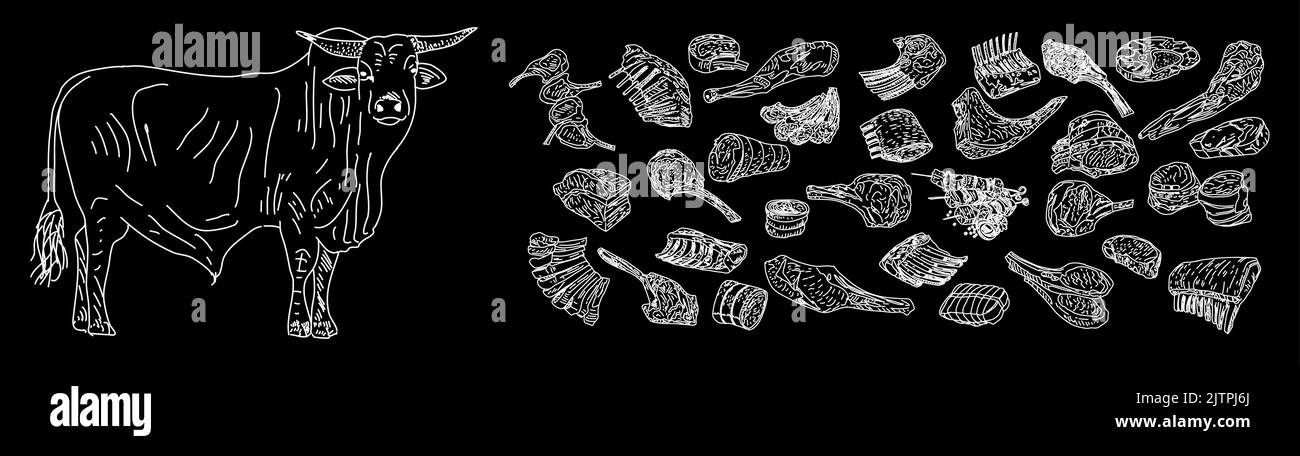 Butcher shop blackboard Cut of Beef Meat. Butchery Cow Food Chalk Board ...