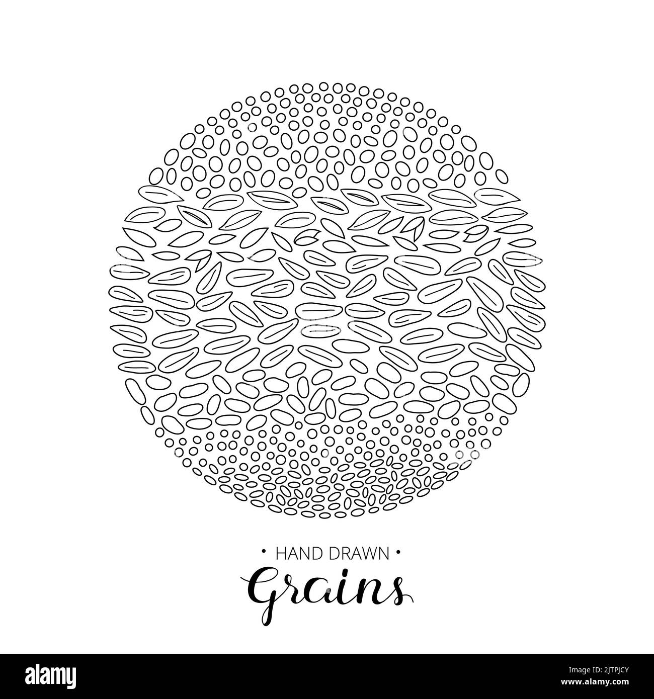 Hand drawn outline cereal grains composed in circle shape on white ...