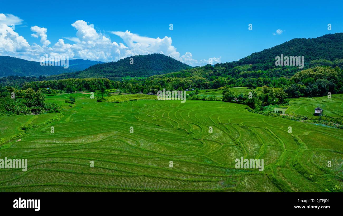 Aerial view of Rice terrace in Luang Prabang, Laos Stock Photo - Alamy