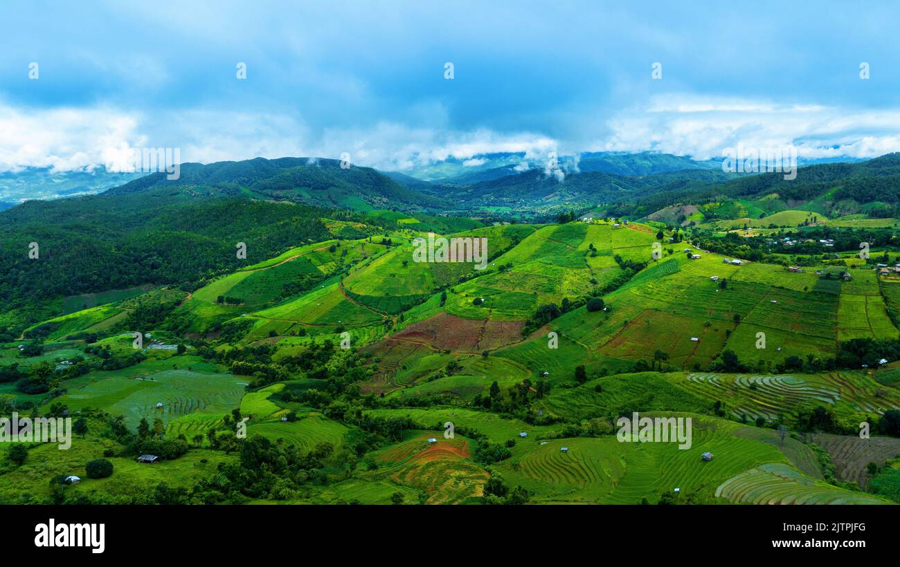 Aerial view of Rice terrace at Ban pa bong piang in Chiang mai ...
