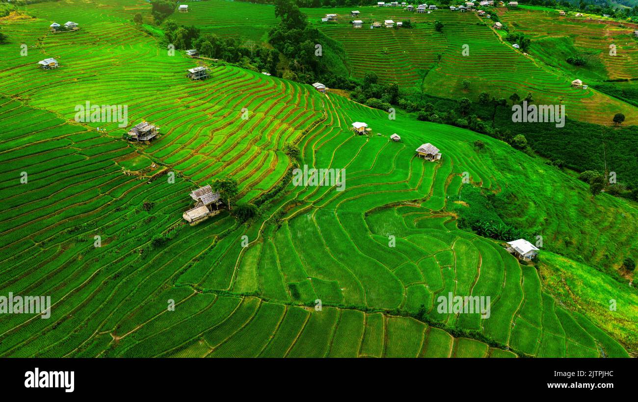 Aerial view of Rice terrace at Ban pa bong piang in Chiang mai ...