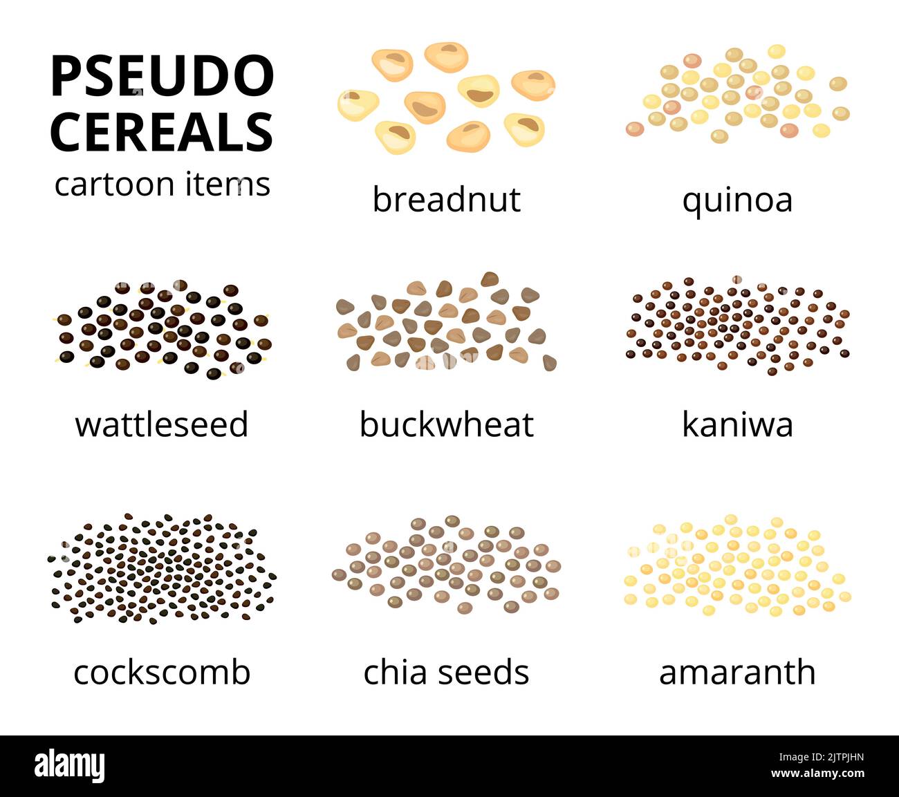 Collection of different cartoon pseudo-cereals isolated on white ...