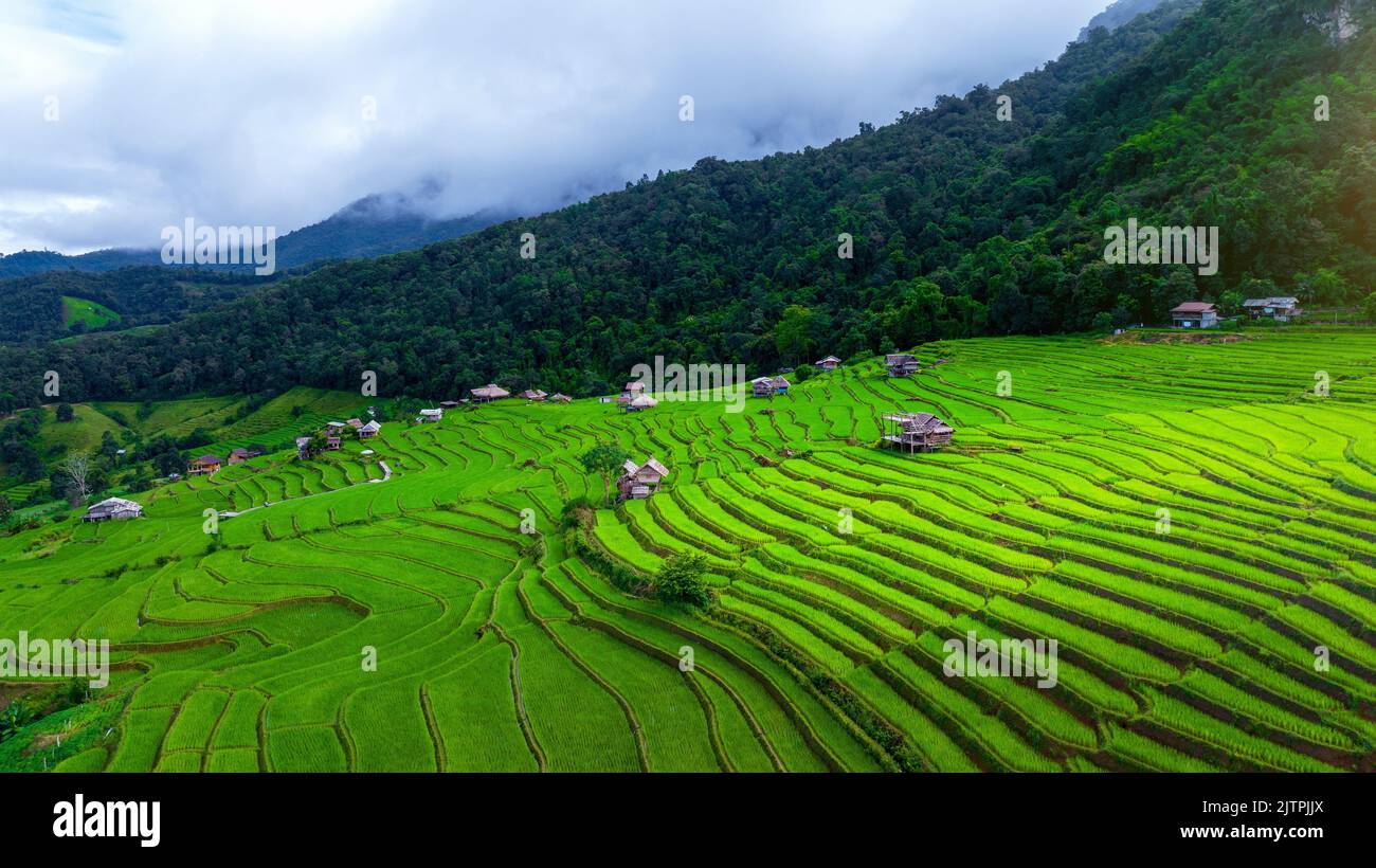 Aerial view of Rice terrace at Ban pa bong piang in Chiang mai ...
