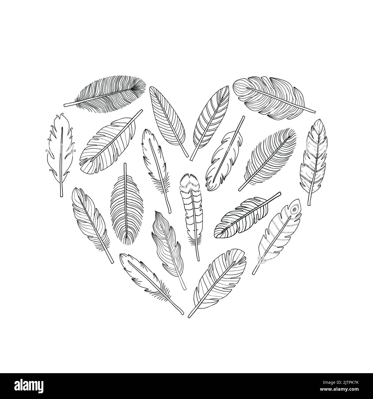 Hand drawn indian boho feathers composed in heart shape on white ...
