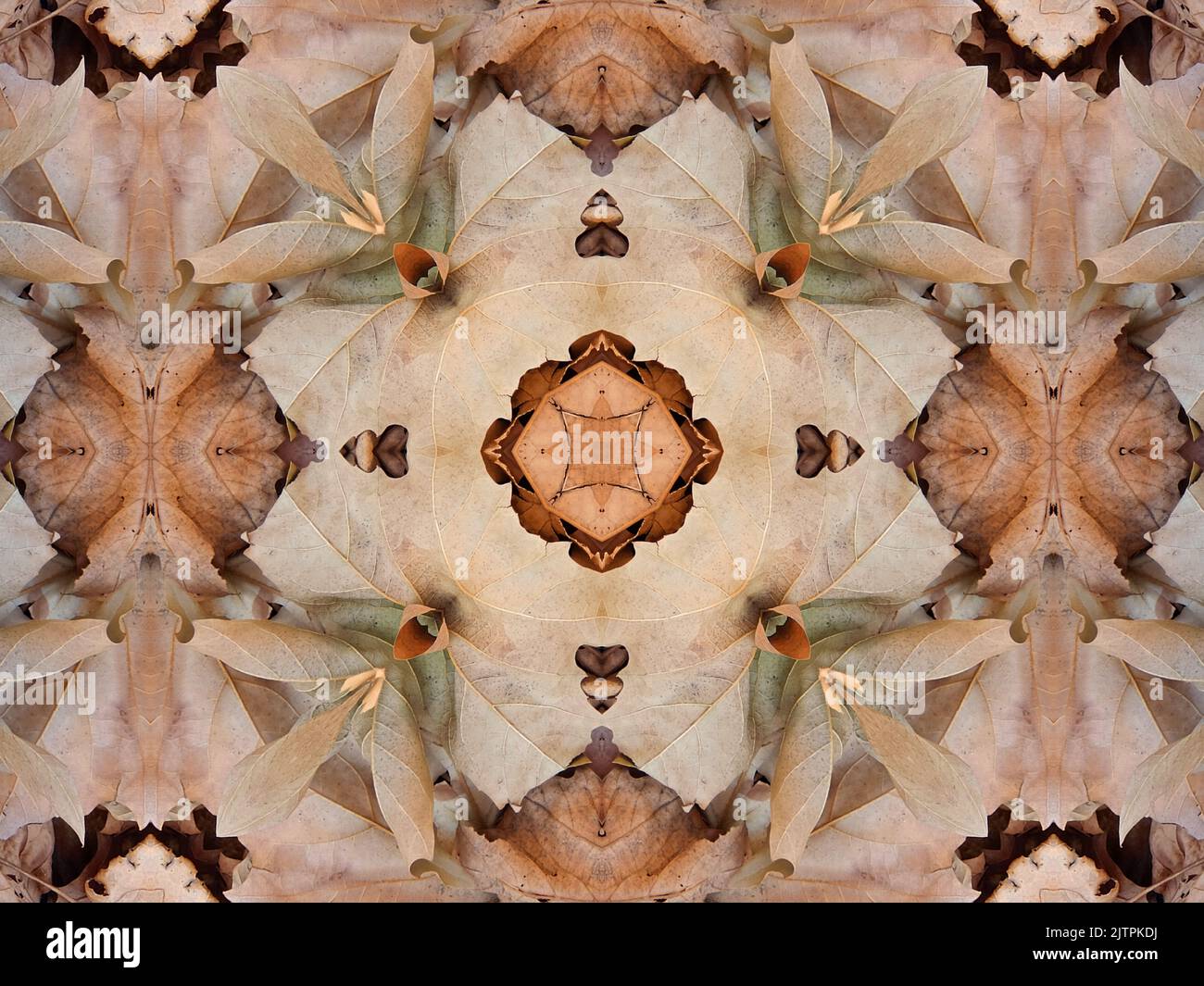 Beautiful optical repeat pattern of dry leaves, foliage and natural ...
