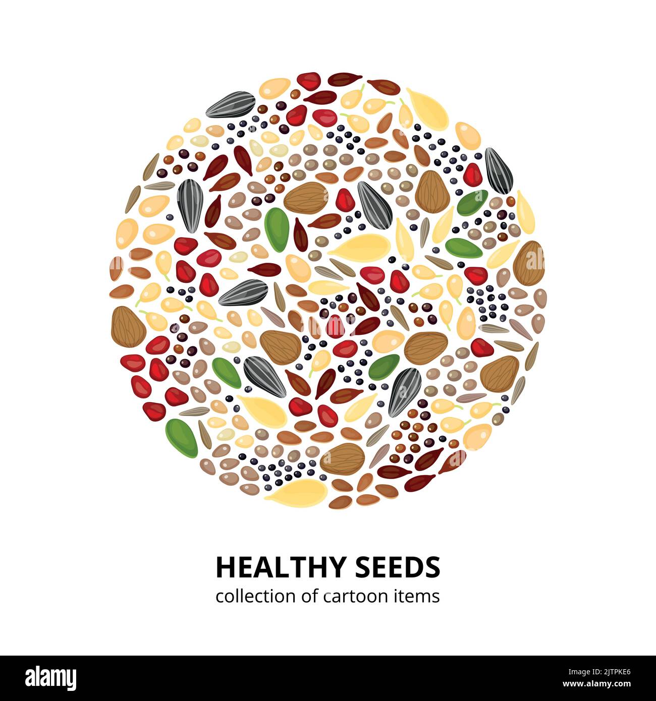 Different kinds of healthy seeds in cartoon style composed in circle ...