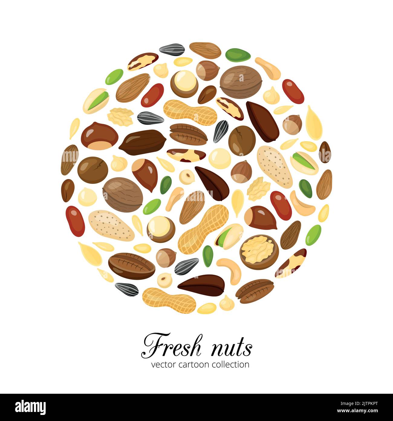 Different cartoon nuts composed in circle shape on white background ...
