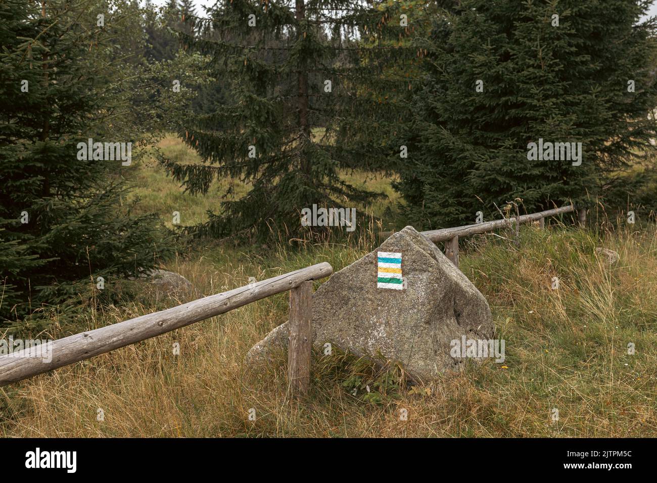 Blue, yellow and green trailblazing symbols on a stone in Karkonosze ...