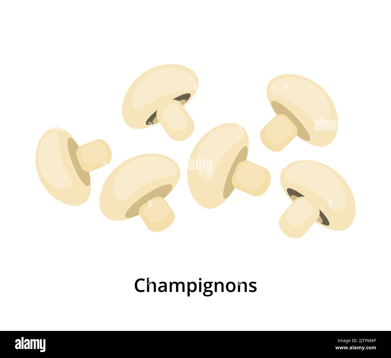 Group of cartoon mushrooms champignons isolated on white background ...