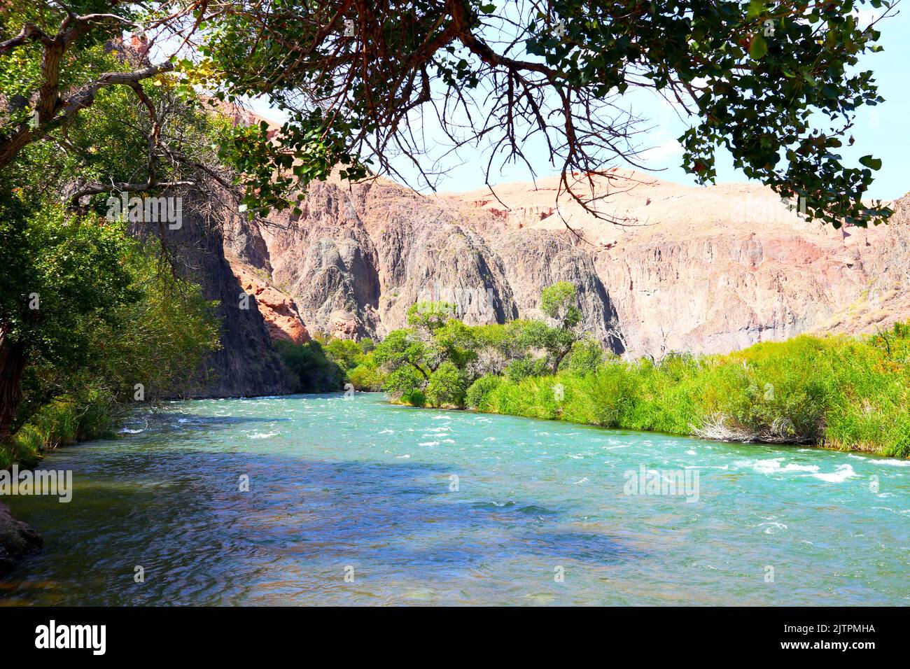 trees and a river in the canyon. beautiful mountain landscape Stock ...