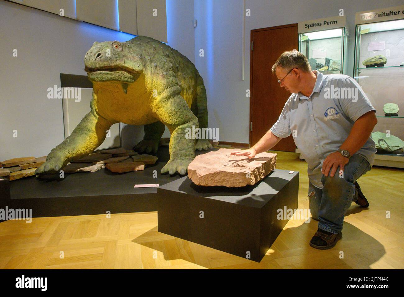 Dinosaur quarry museum hi-res stock photography and images - Alamy